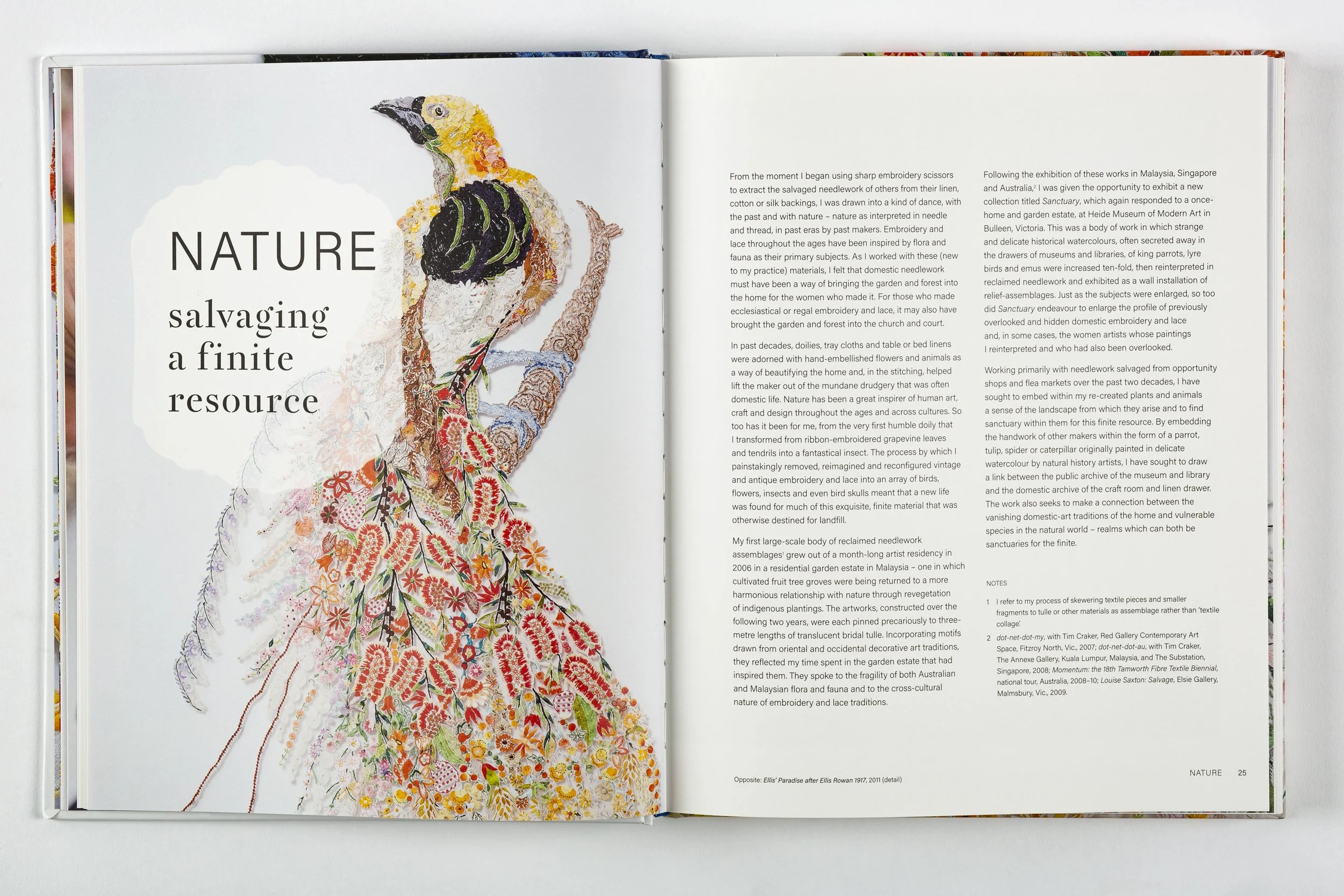 Monograph — louise saxton