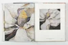 Monograph — louise saxton