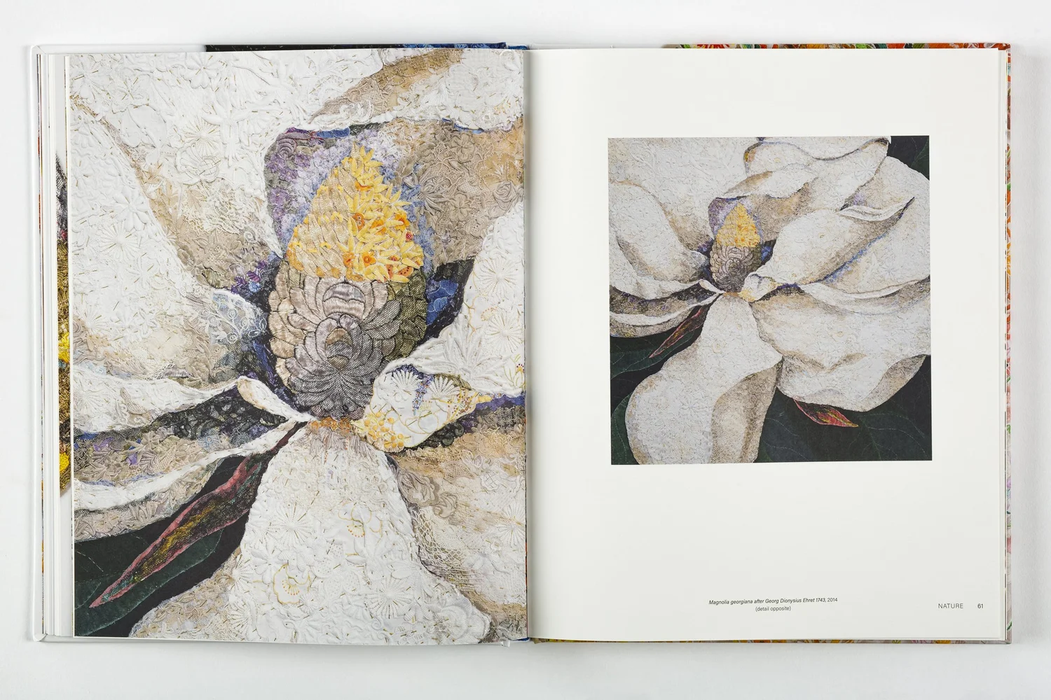 Monograph — louise saxton