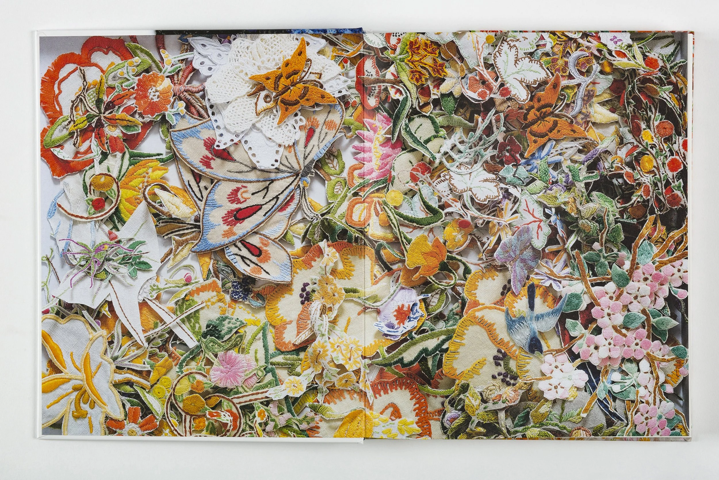 Monograph — louise saxton