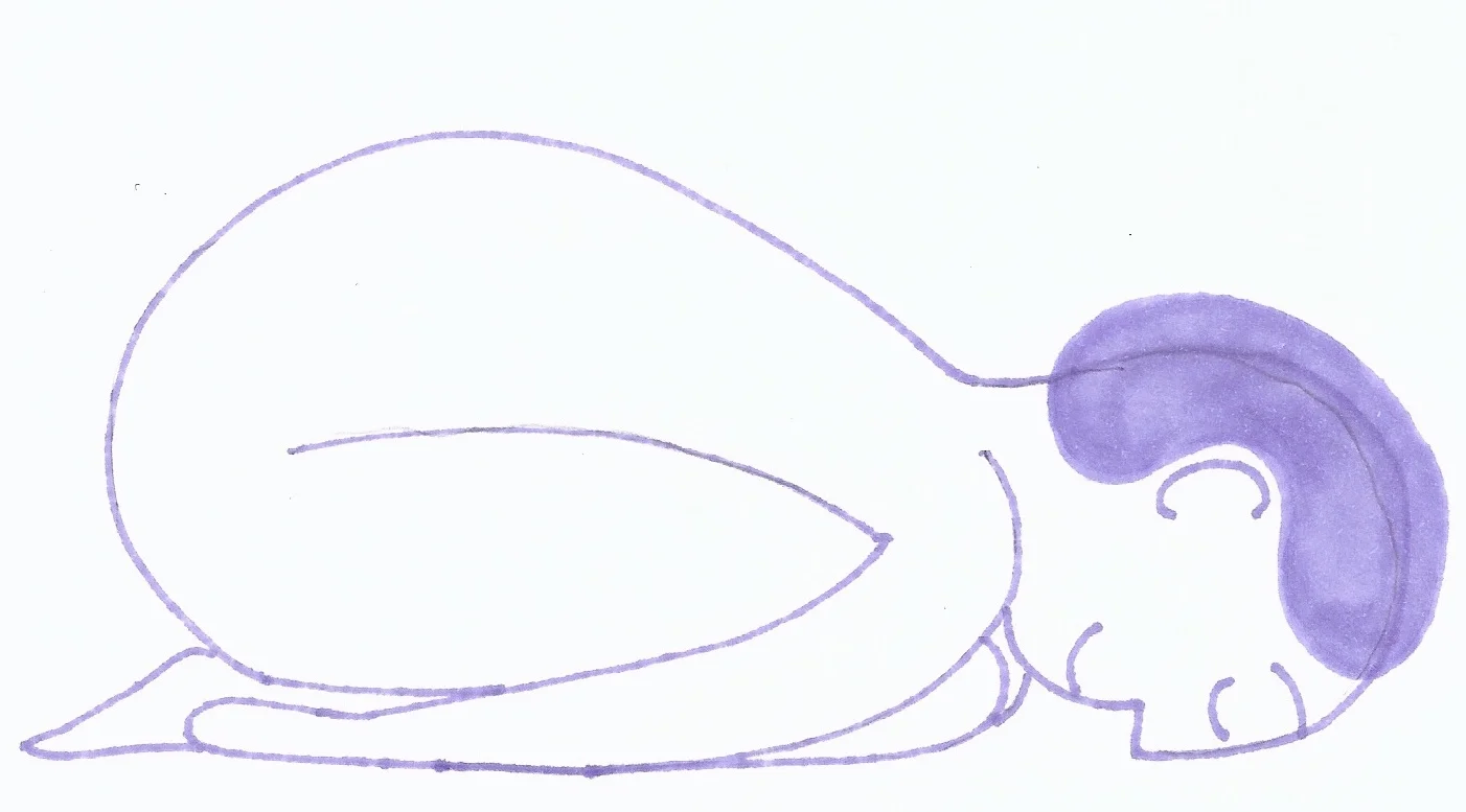 How Relaxing in Child's Pose Benefits Children and Grownups — Yo Re Mi
