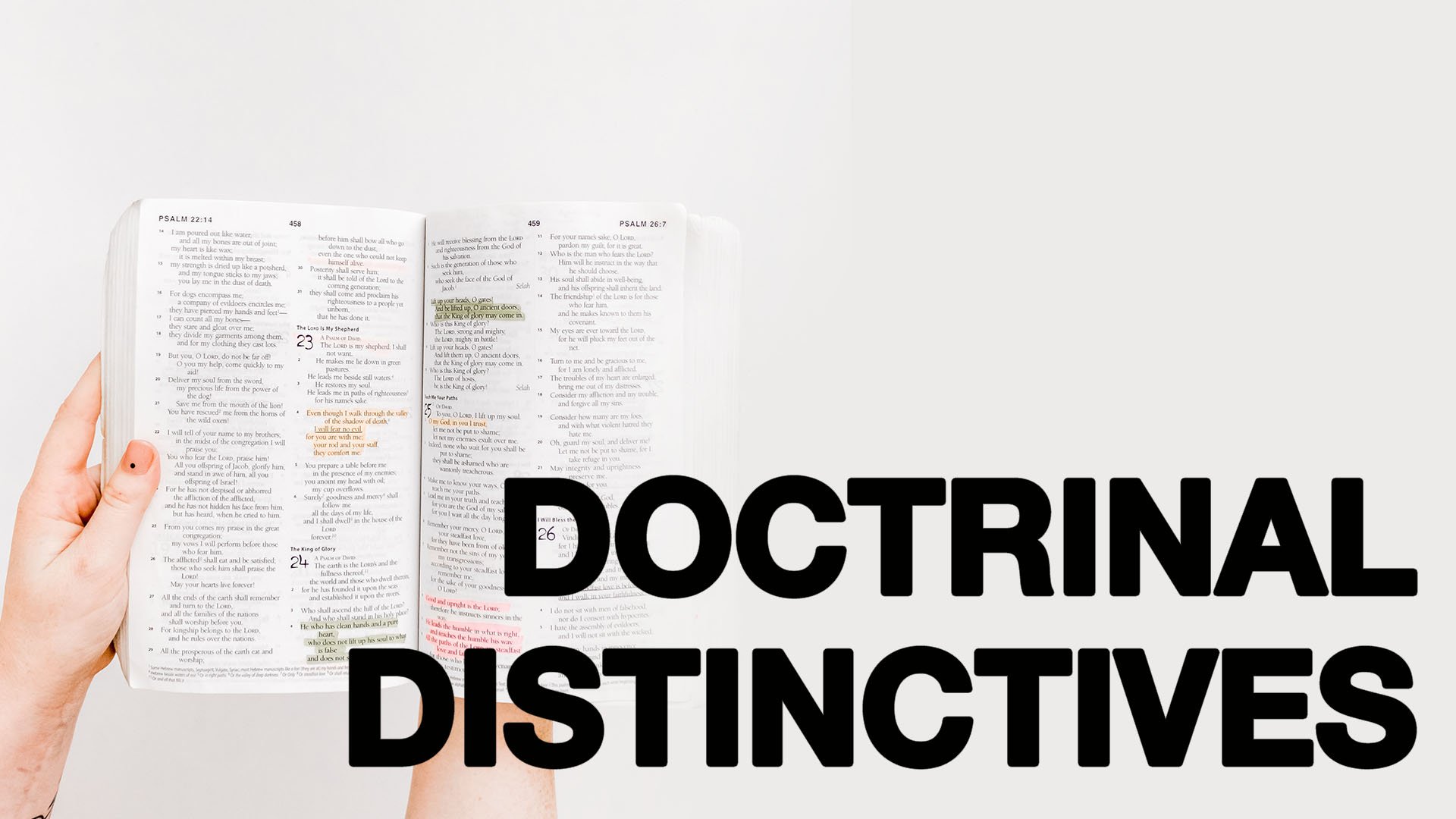 Courses — THE CAUSE CHURCH | CHRISTIAN CHURCH IN COEUR D'ALENE, ID