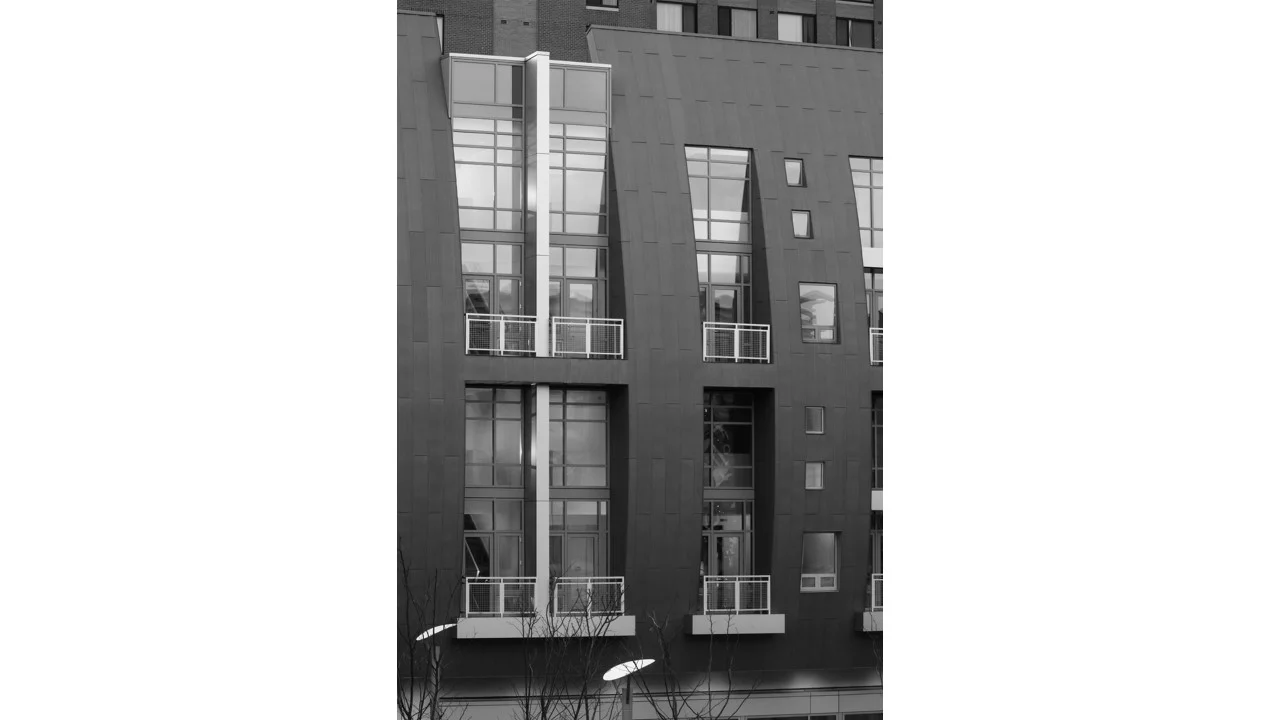 THE RIDDLE COMPANY | Catherine Timko, founder