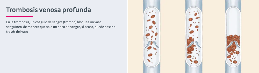 MEDI SALUD — Pharmatech República Dominicana