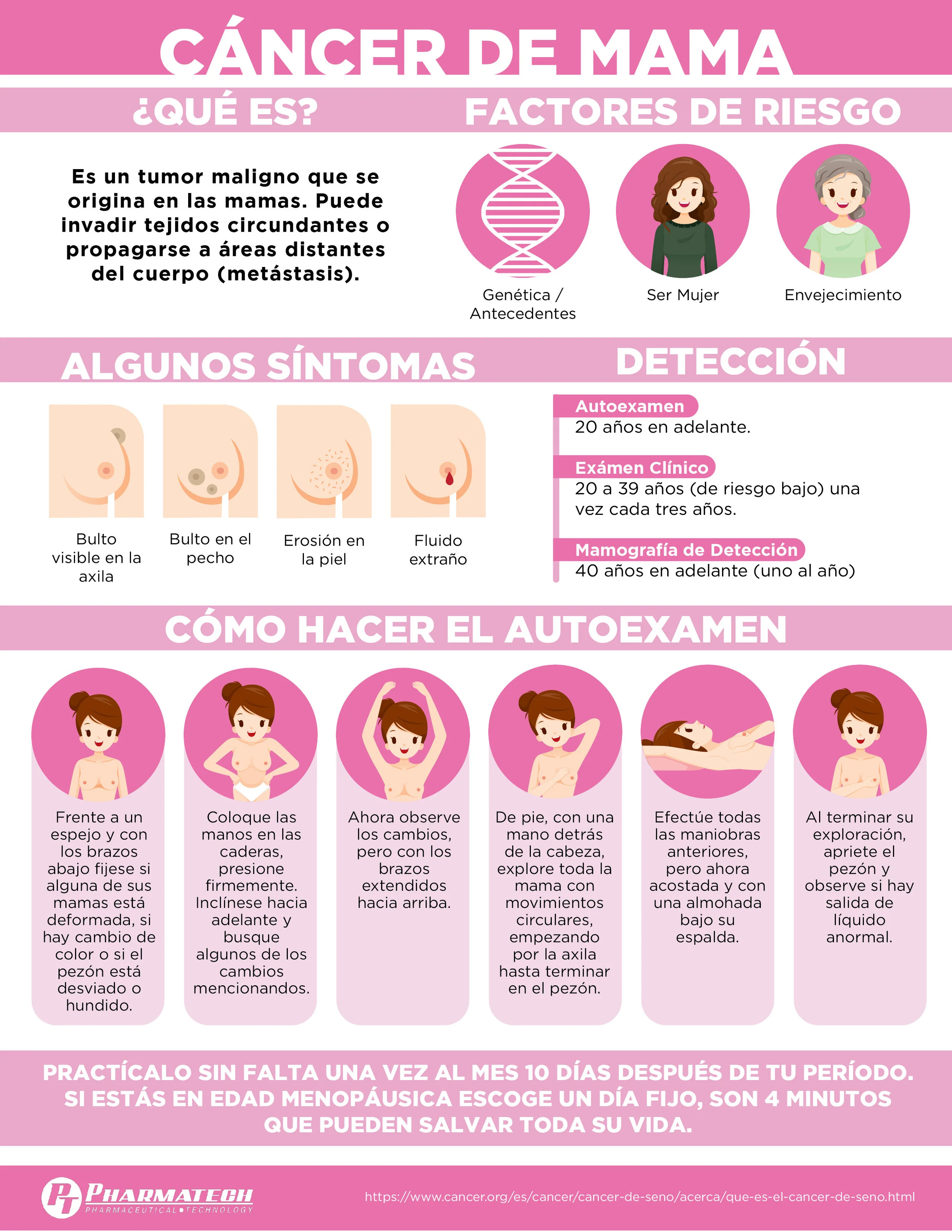 Cancer De Mama Infografia