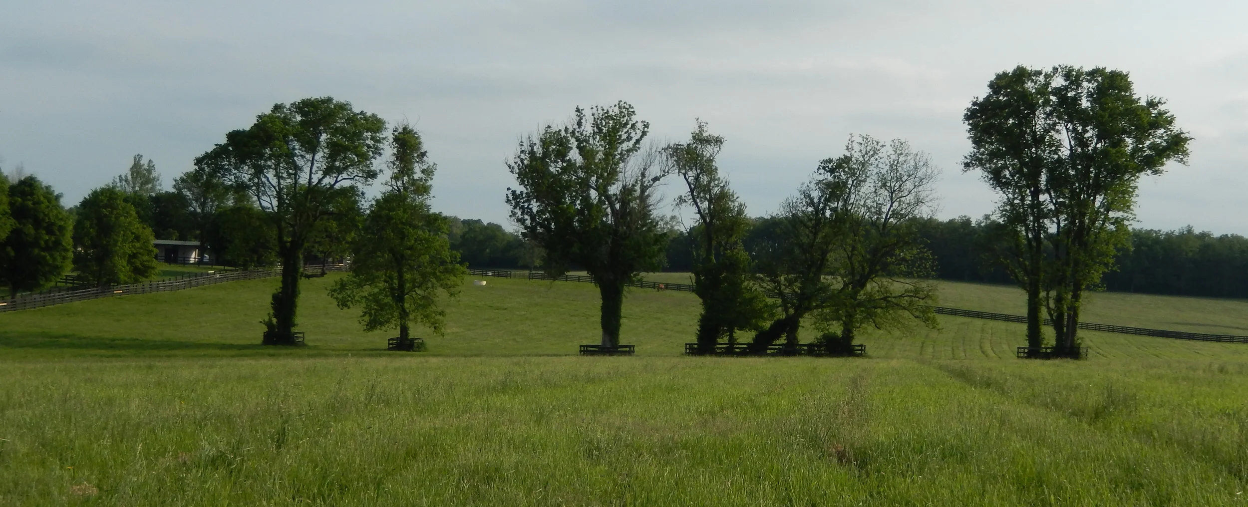 Blackburn Farm
