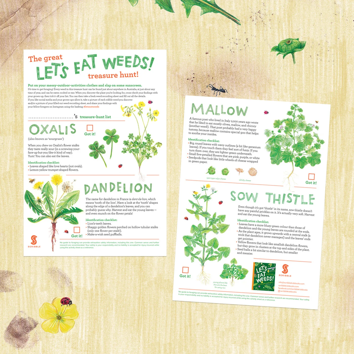 LET'S EAT WEEDS! : FREE Download Activity Sheets — Evie Barrow