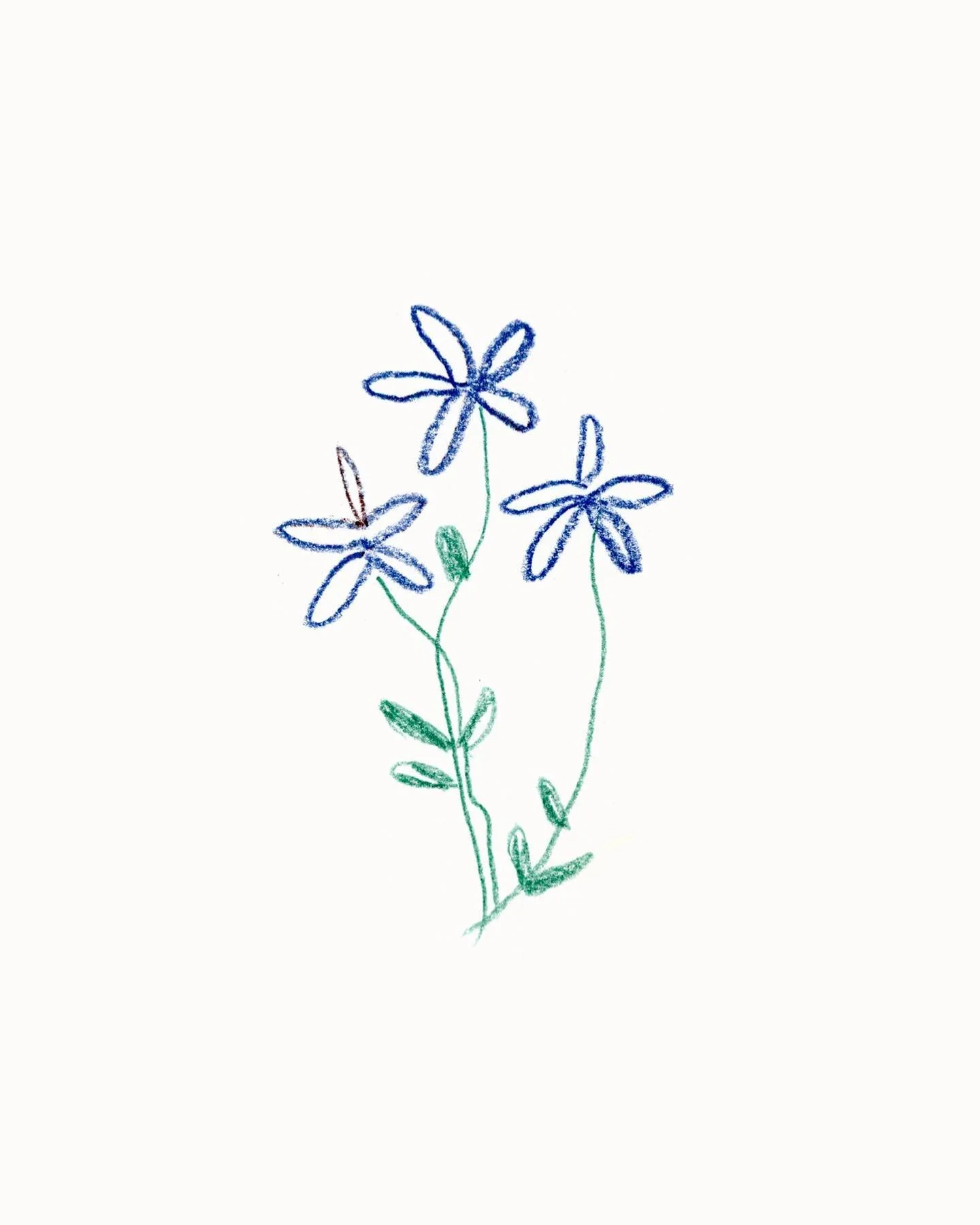 Illustrator of Children's Picture Books + more — Evie Barrow