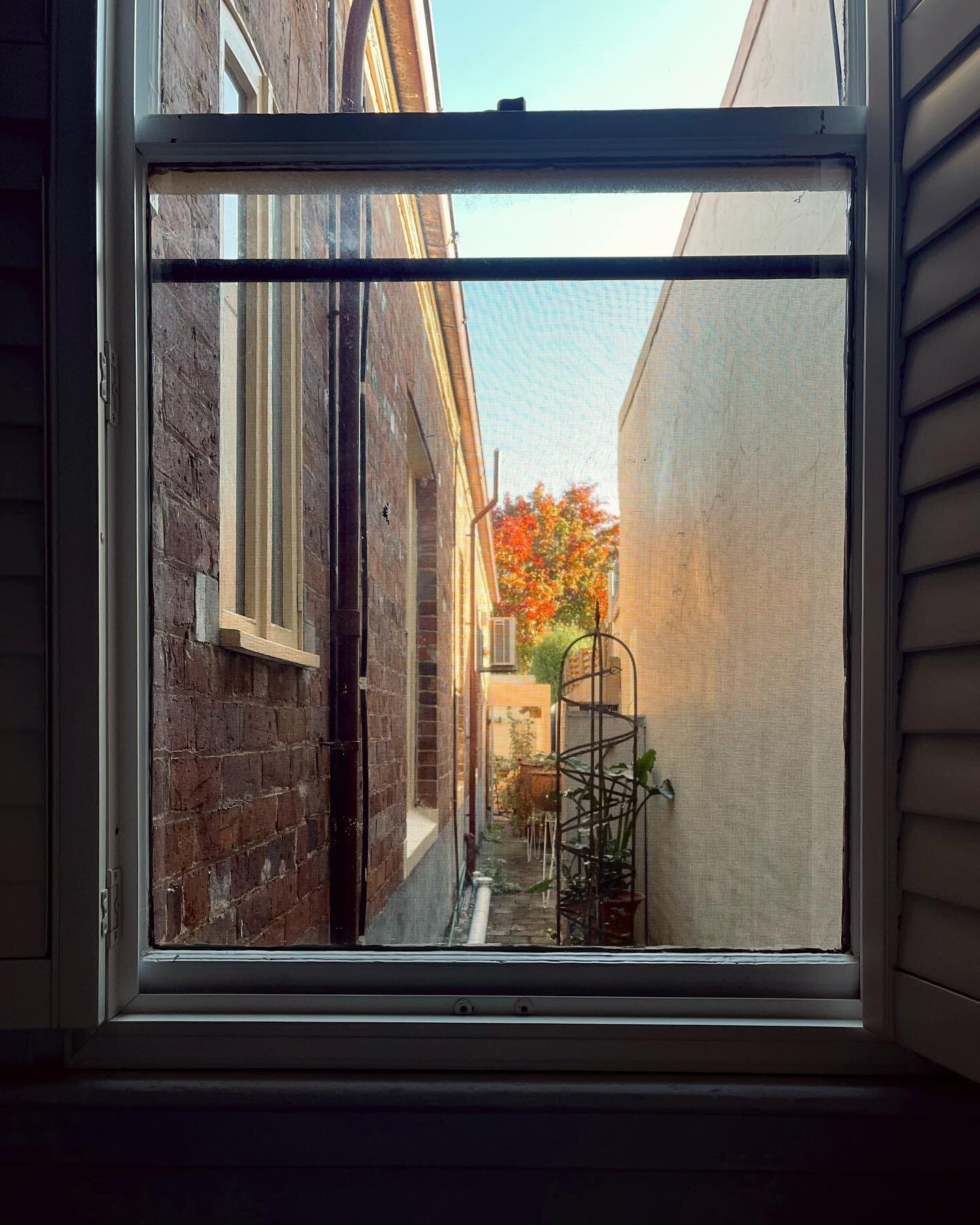 Illustrator of Children's Picture Books + more — Evie Barrow