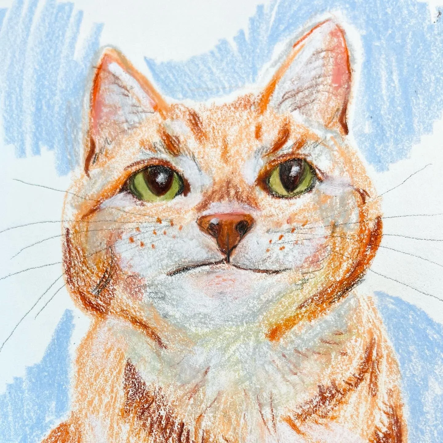 Illustrator of Children's Picture Books + more — Evie Barrow