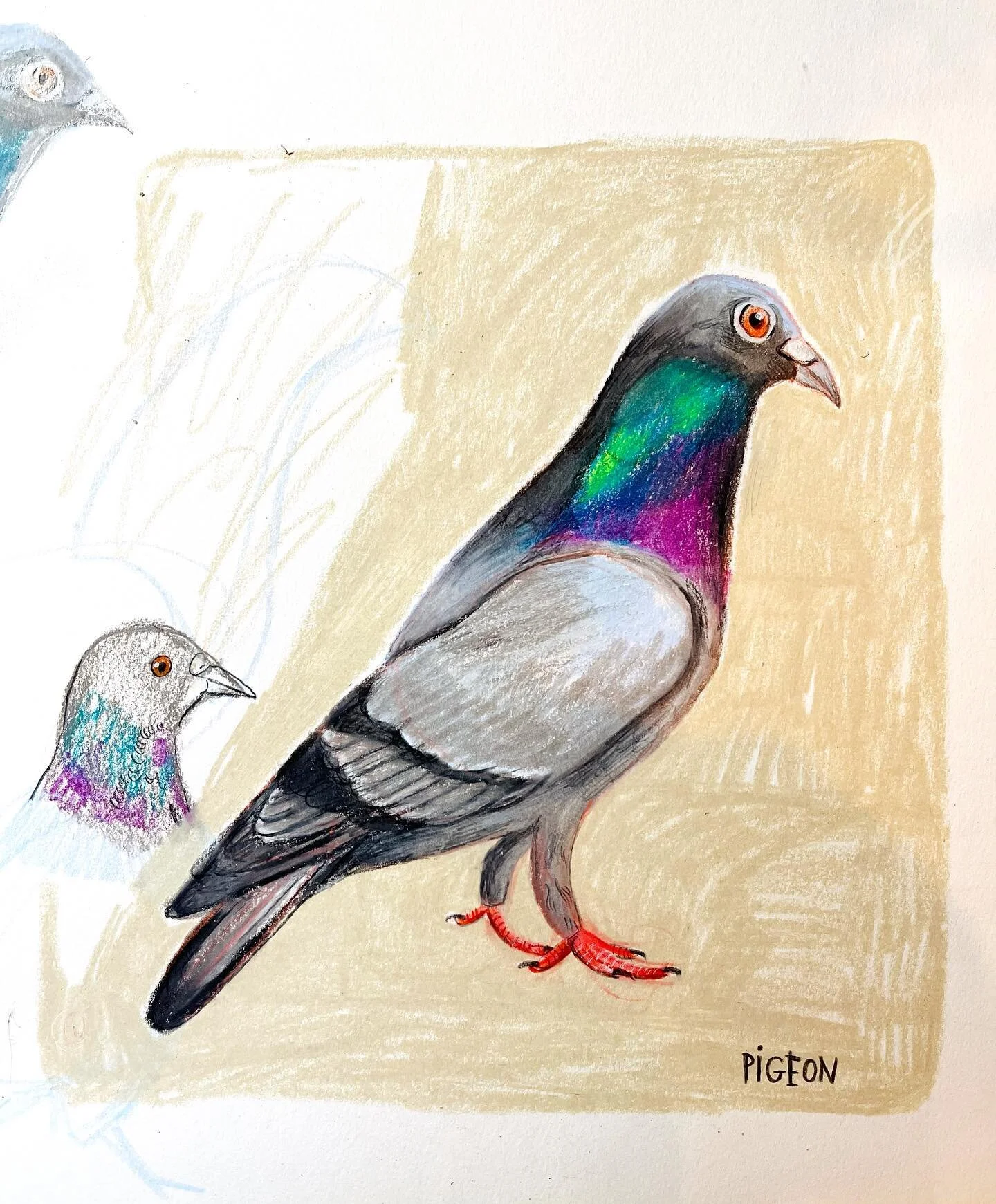 Illustrator of Children's Picture Books + more — Evie Barrow