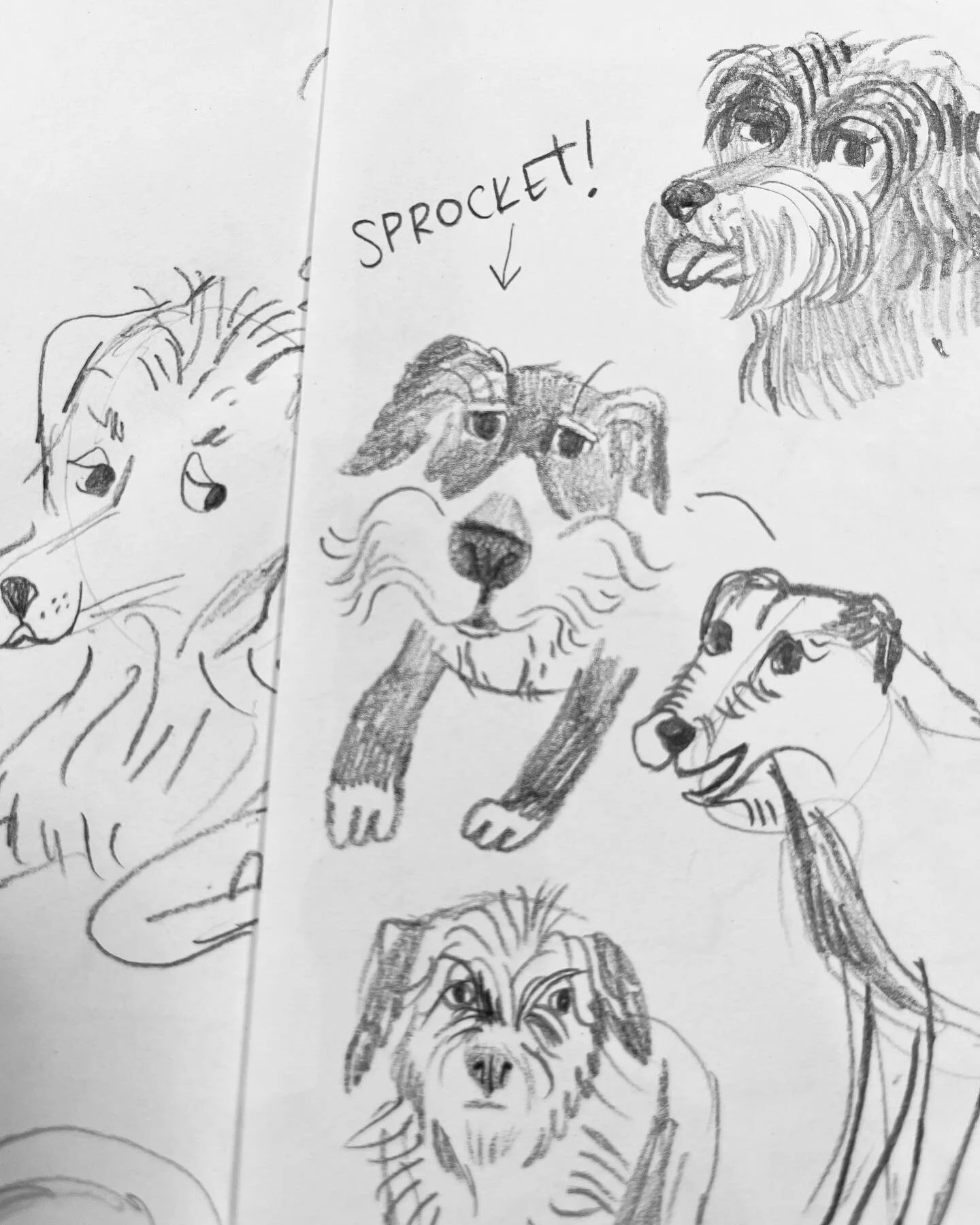 Illustrator of Children's Picture Books + more — Evie Barrow