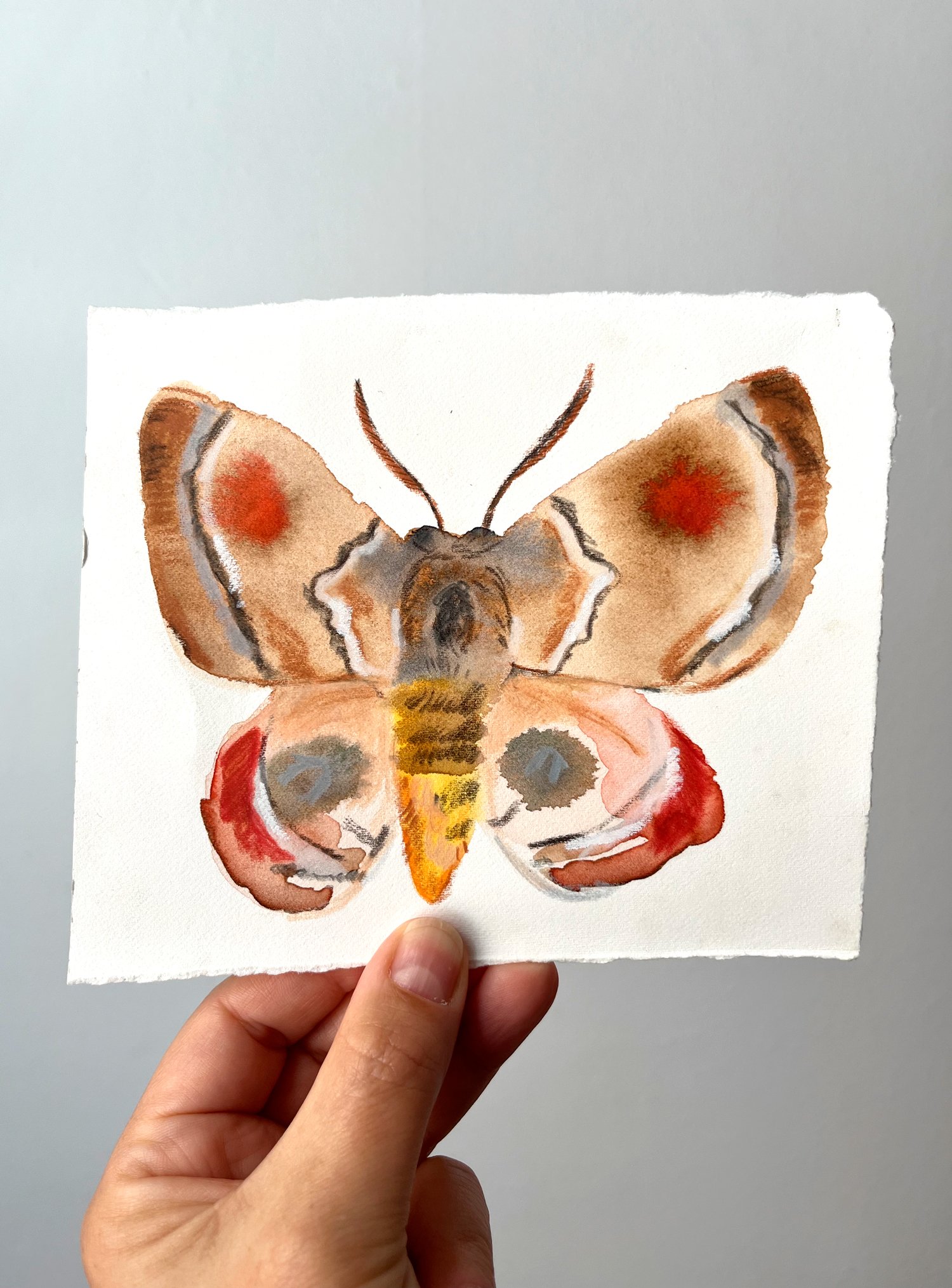 Shop — Evie Barrow