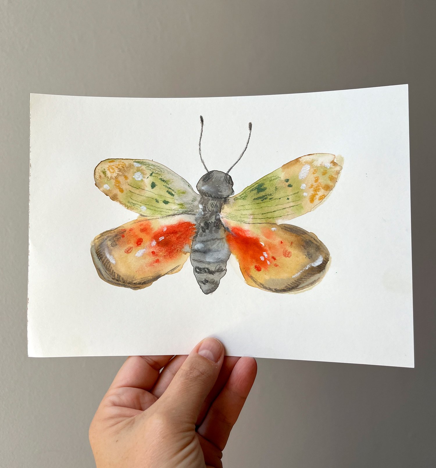 Shop — Evie Barrow