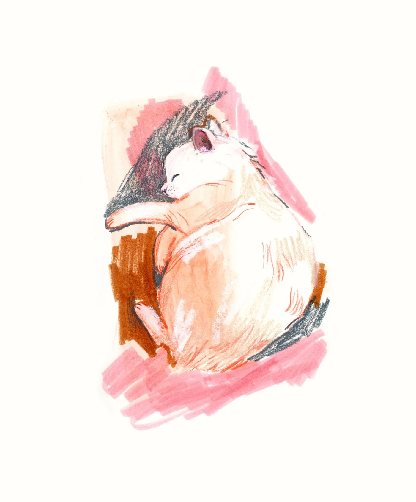 le Chat : Warmup Drawings — Evie Barrow