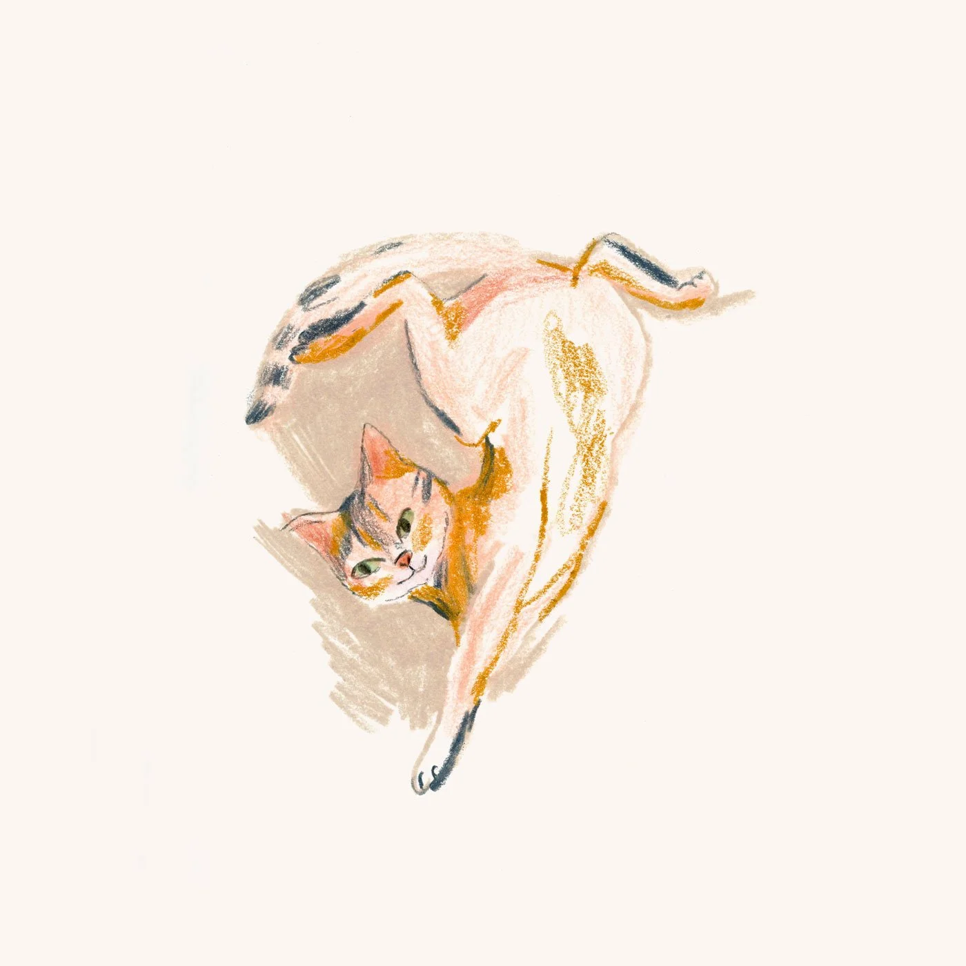 le Chat : Warmup Drawings — Evie Barrow