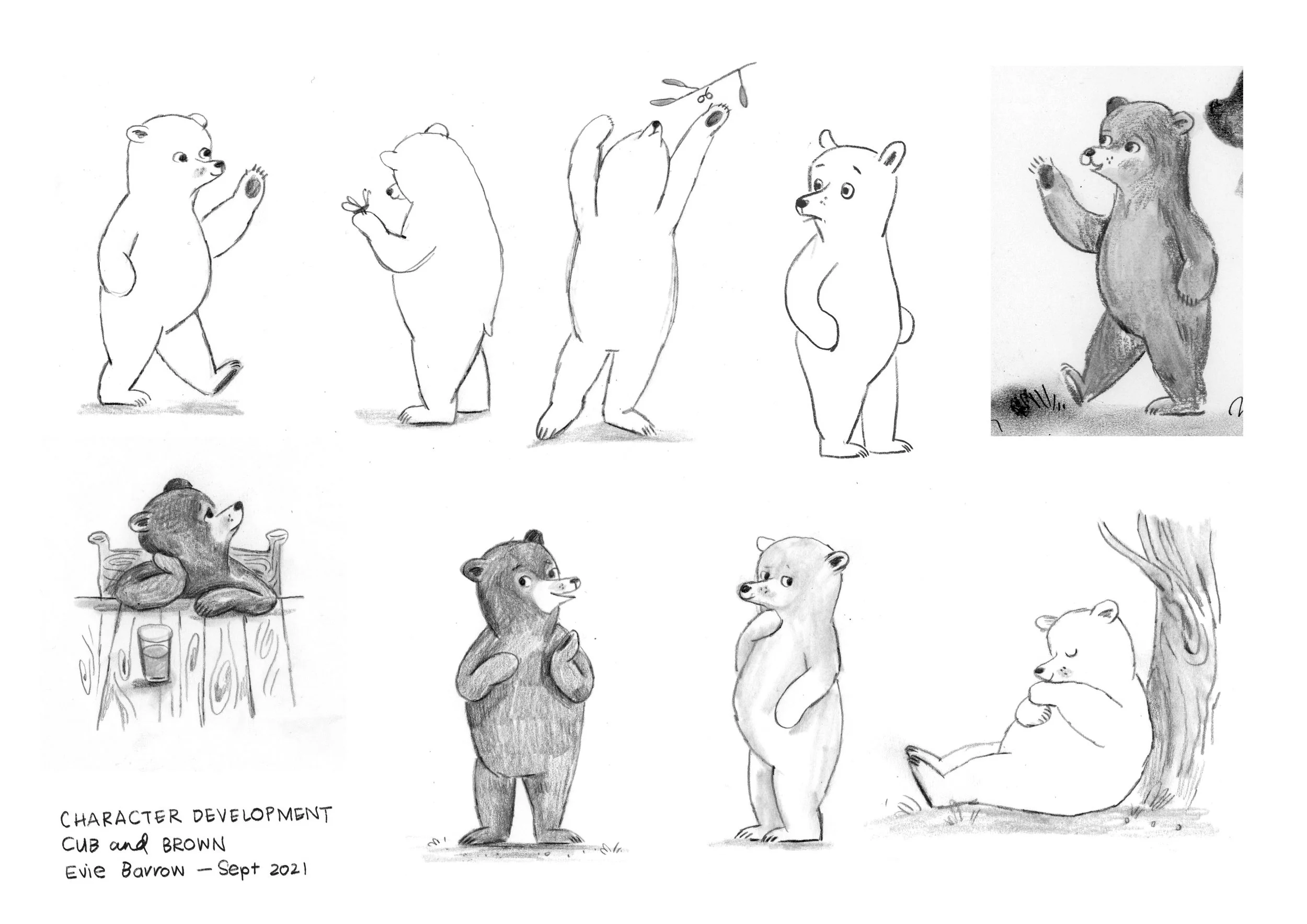 Cub & Brown : A New Book in 2023 — Evie Barrow