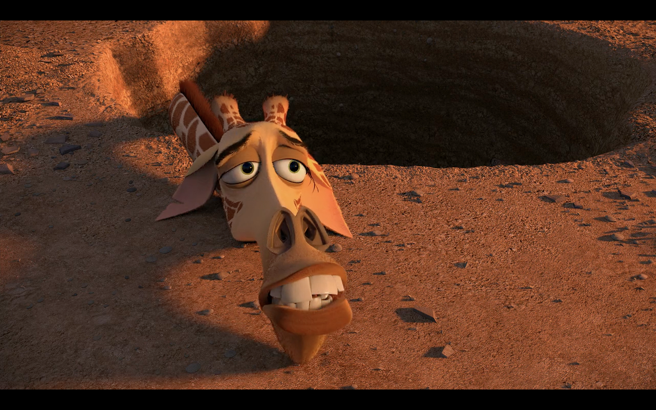 Madagascar Melman Sick