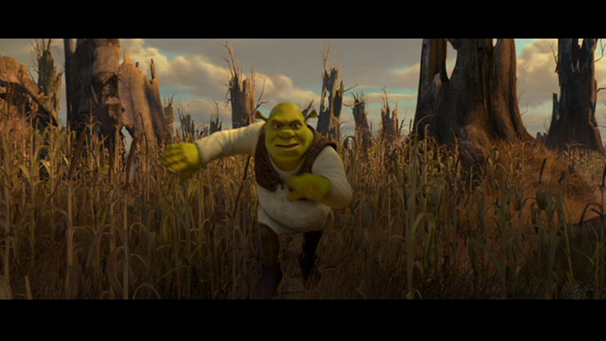 Shrek Forever After — Hayyim Sanchez : CG Texture Artist