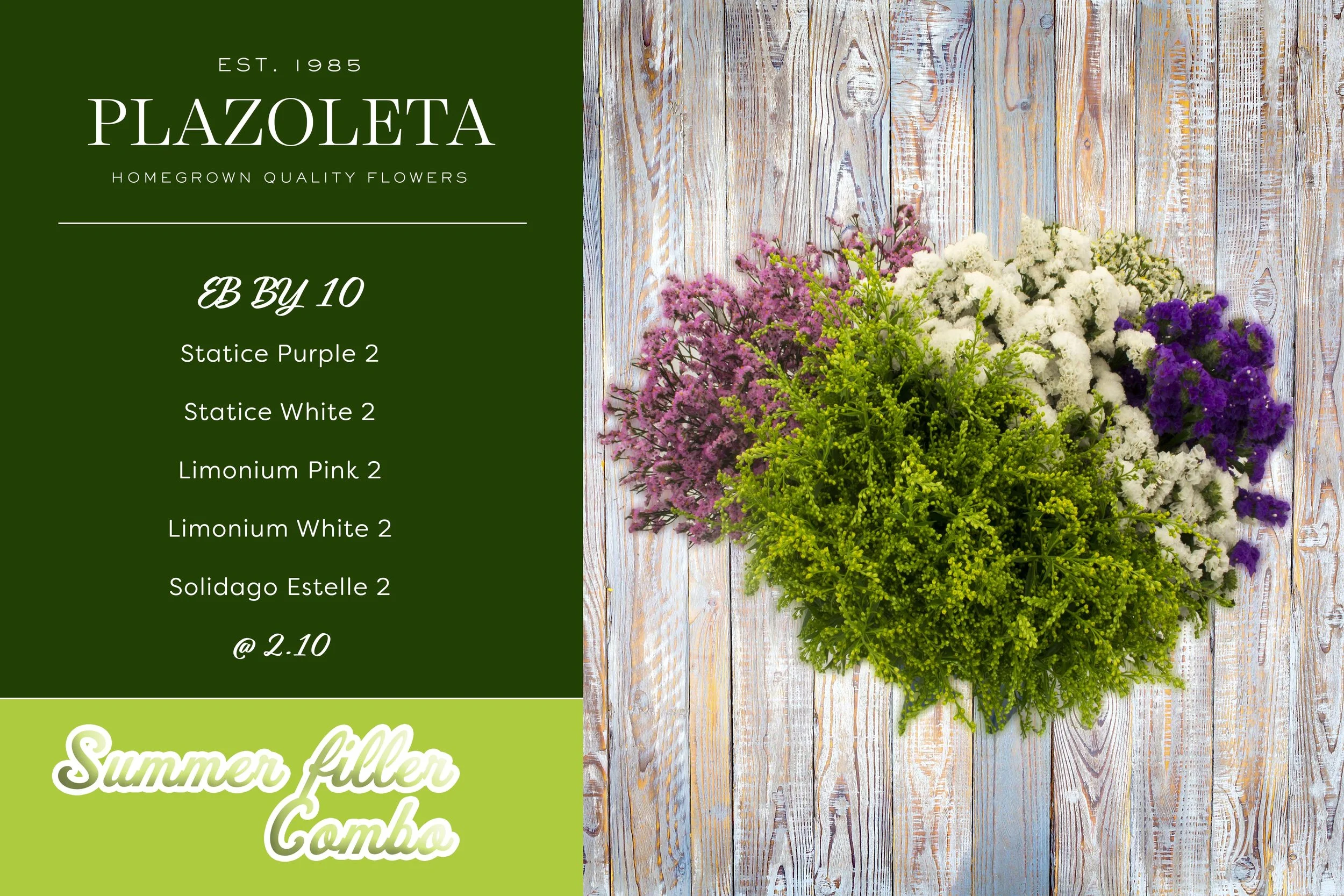 Combo Boxes - Plazoleta Flowers