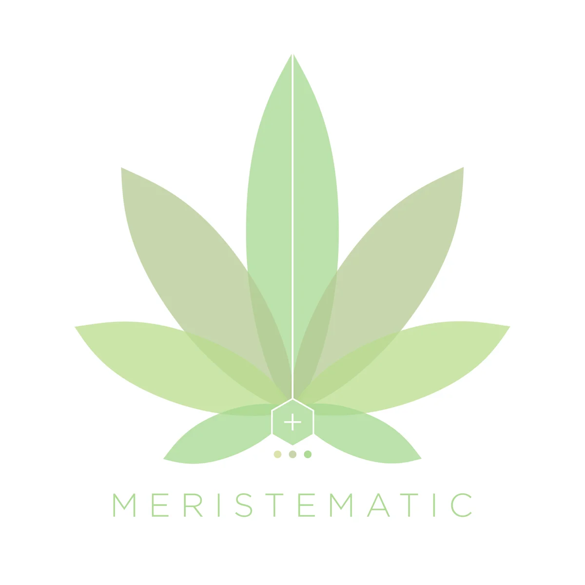 Logo Concept for Meristematic — xDESTRO