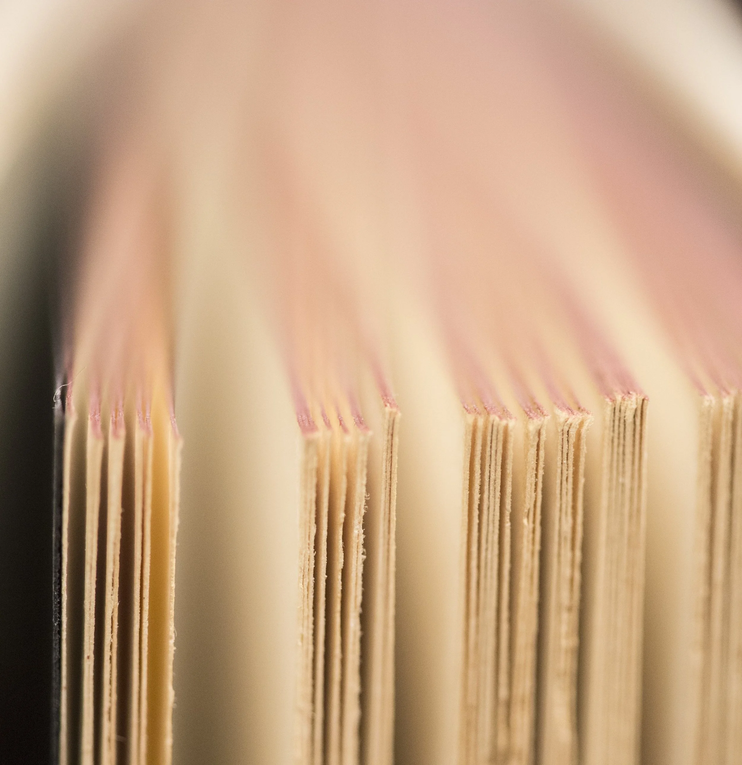 writing — tamara suarez porras