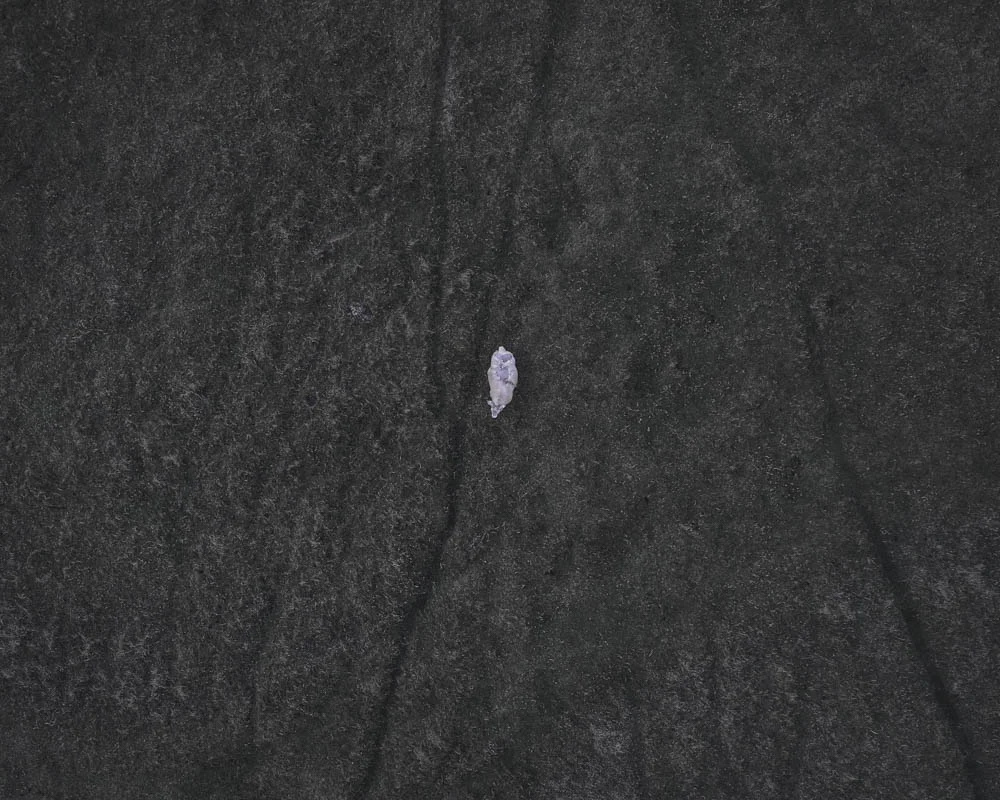 A look back at Ireland — Corbin.Camp