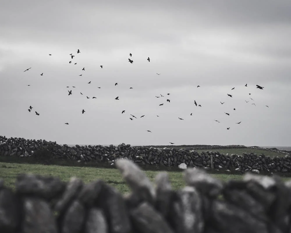 A look back at Ireland — Corbin.Camp