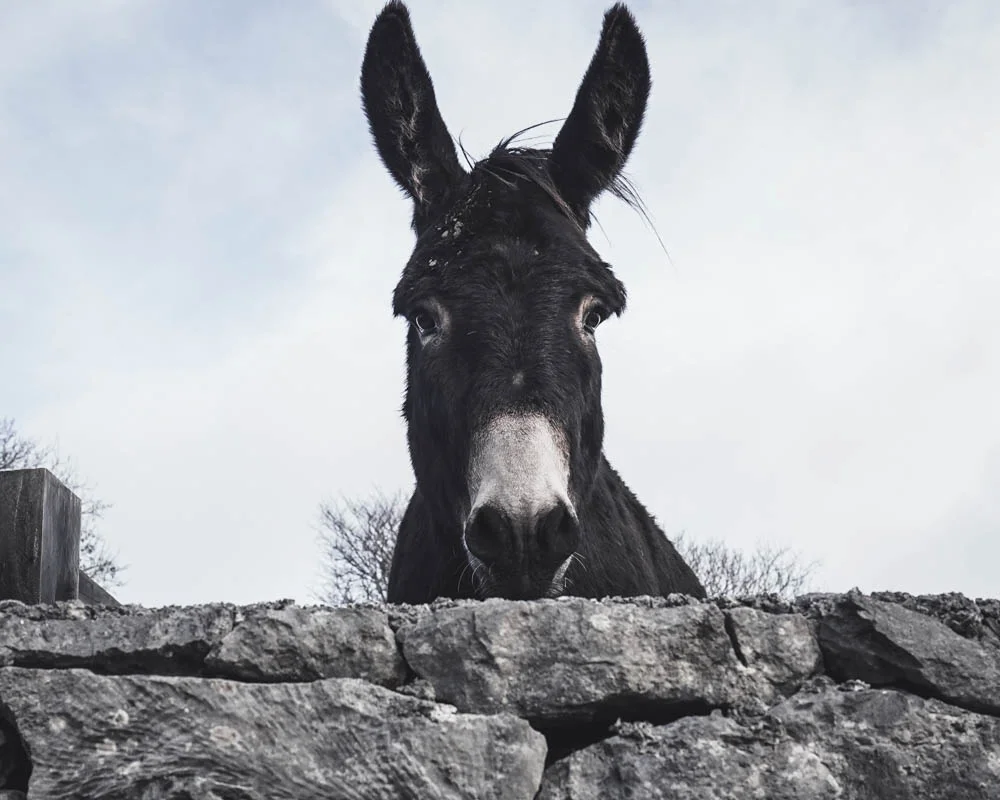 A look back at Ireland — Corbin.Camp