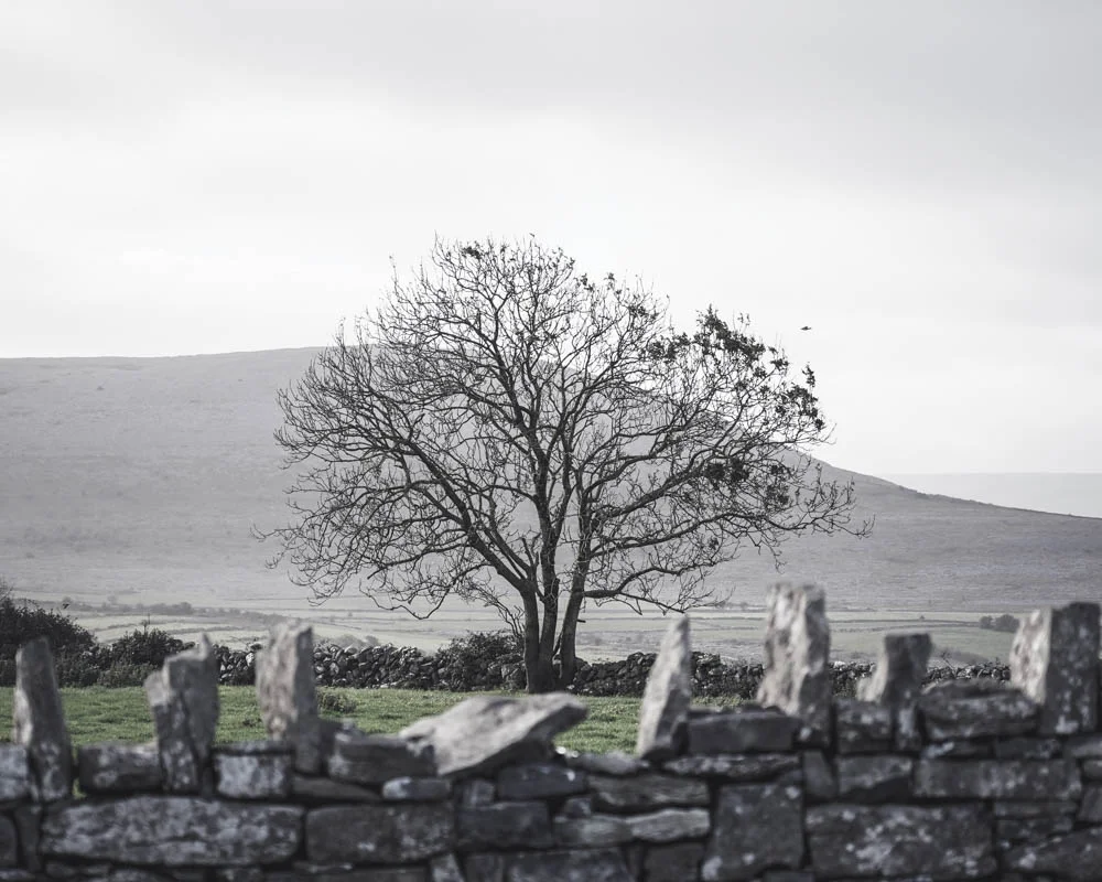 A look back at Ireland — Corbin.Camp