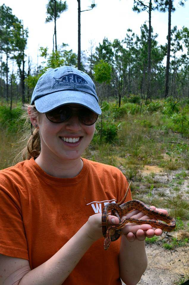 Baraoidan-bio — The Wildlife Society - Florida Chapter