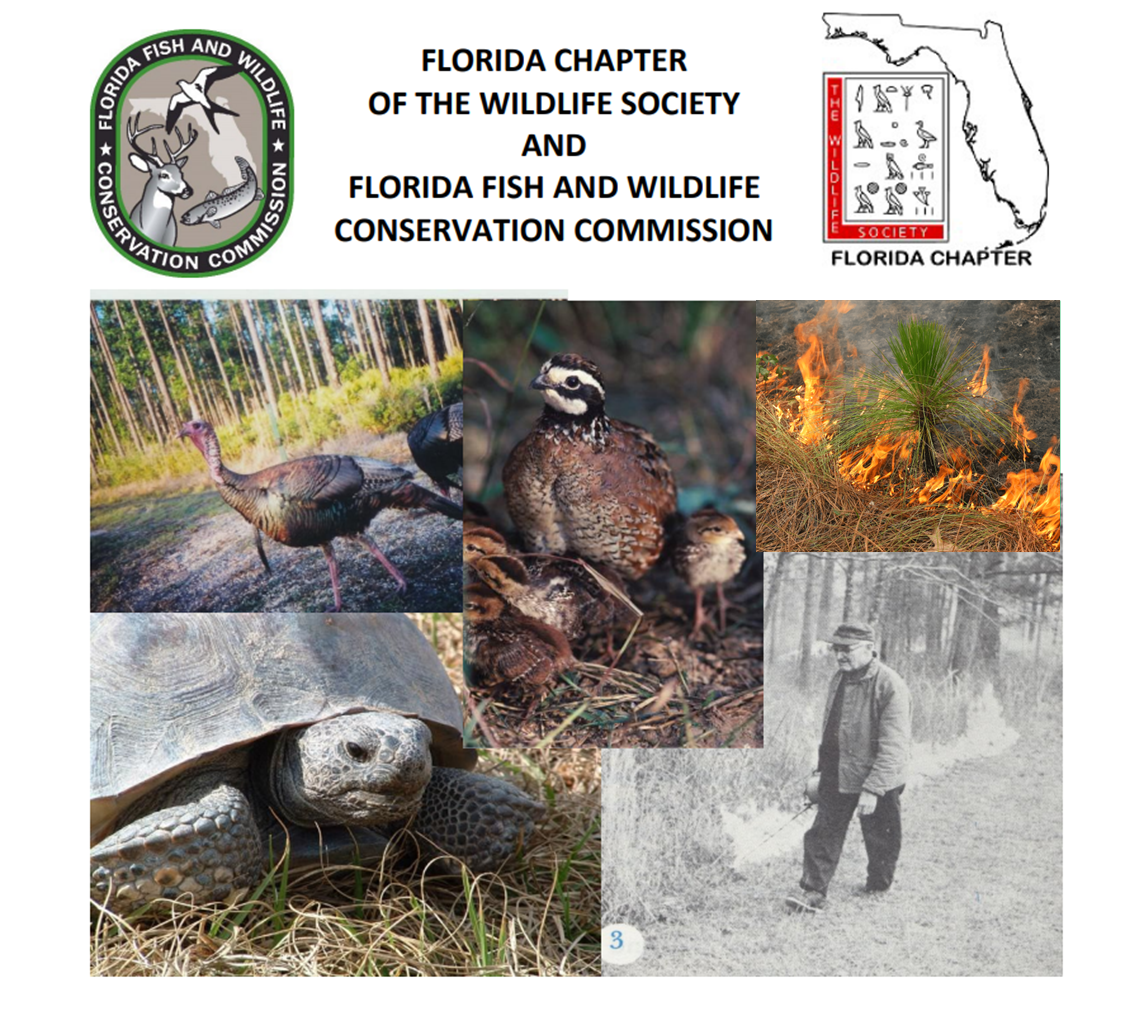 Prescribed Fire for Wildlife Class - Registration now open! — The Wildlife Society - Florida Chapter