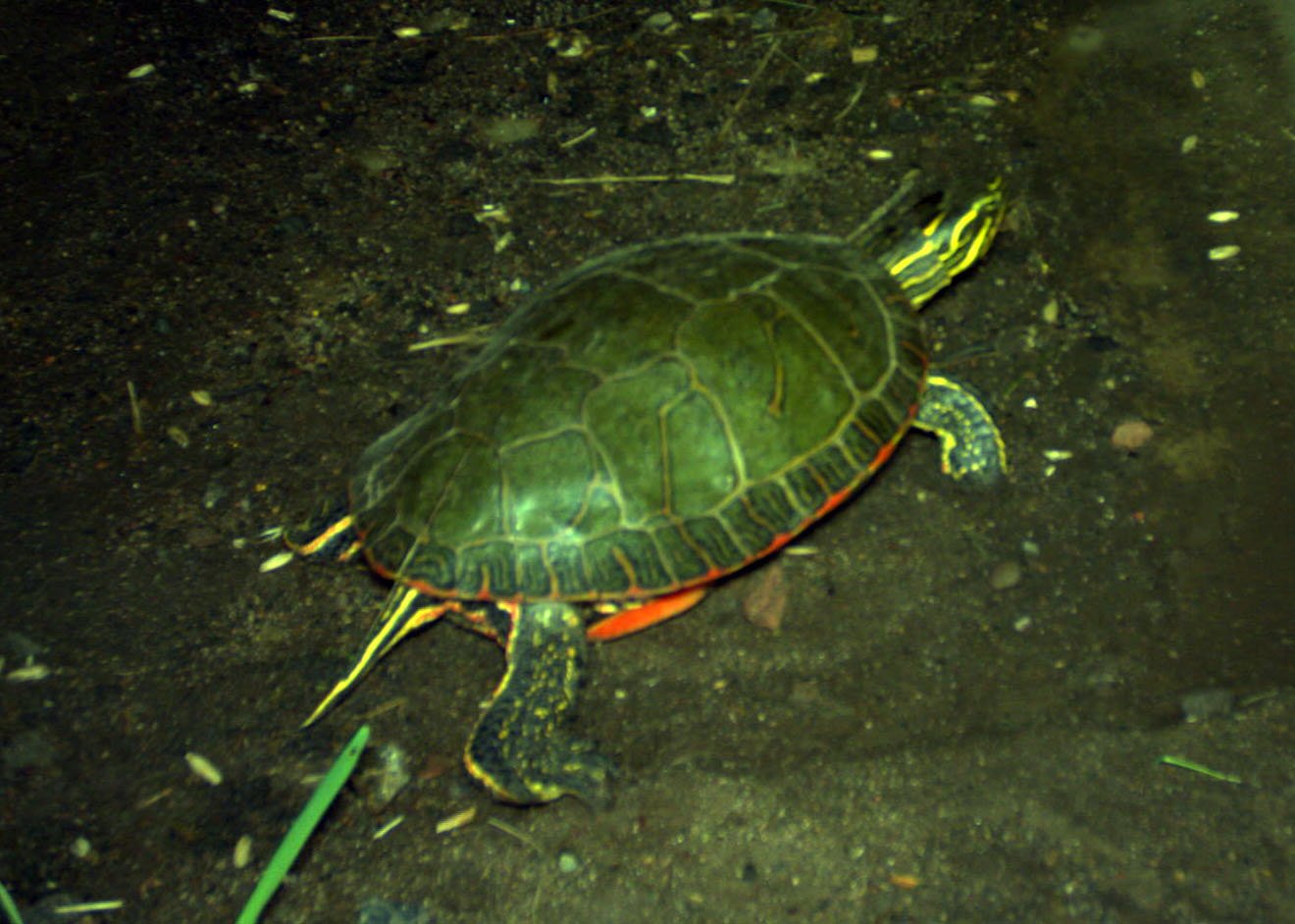 Projects — Washington Conservation District