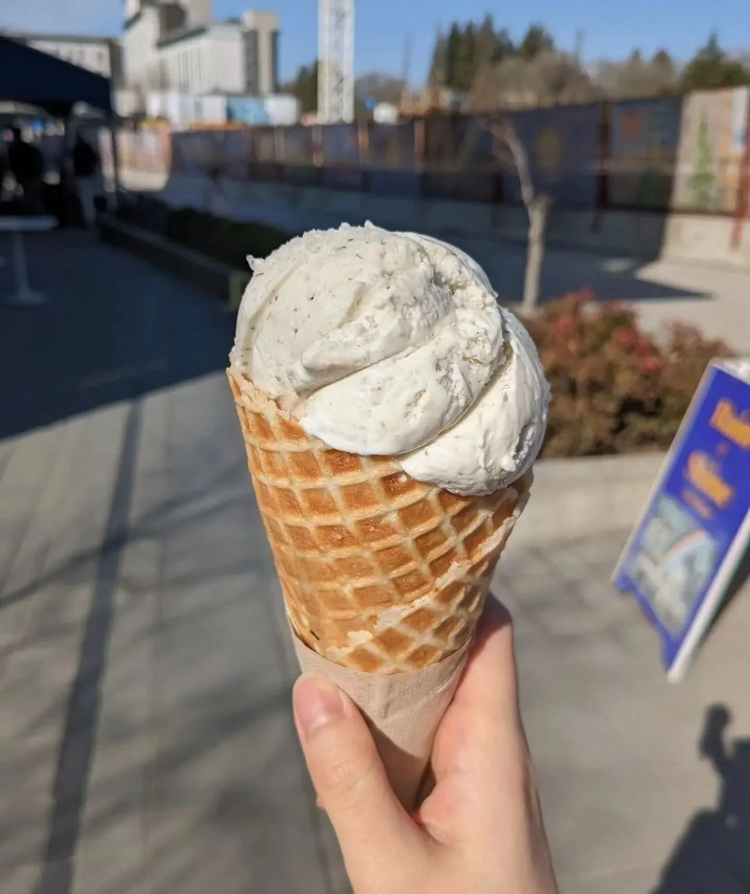 HOME — Rain or Shine Homemade Ice Cream