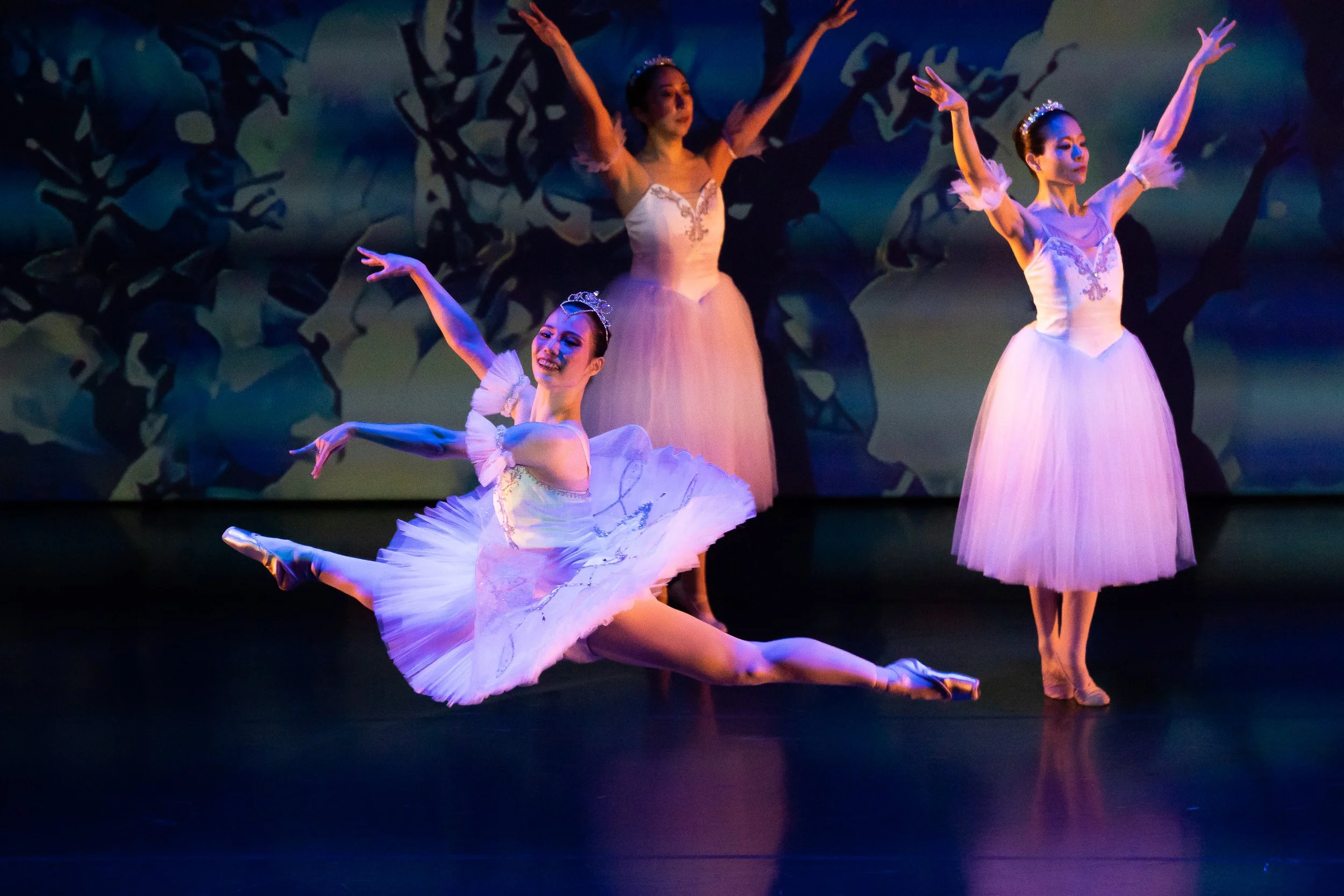 Gallery — M.A BALLET