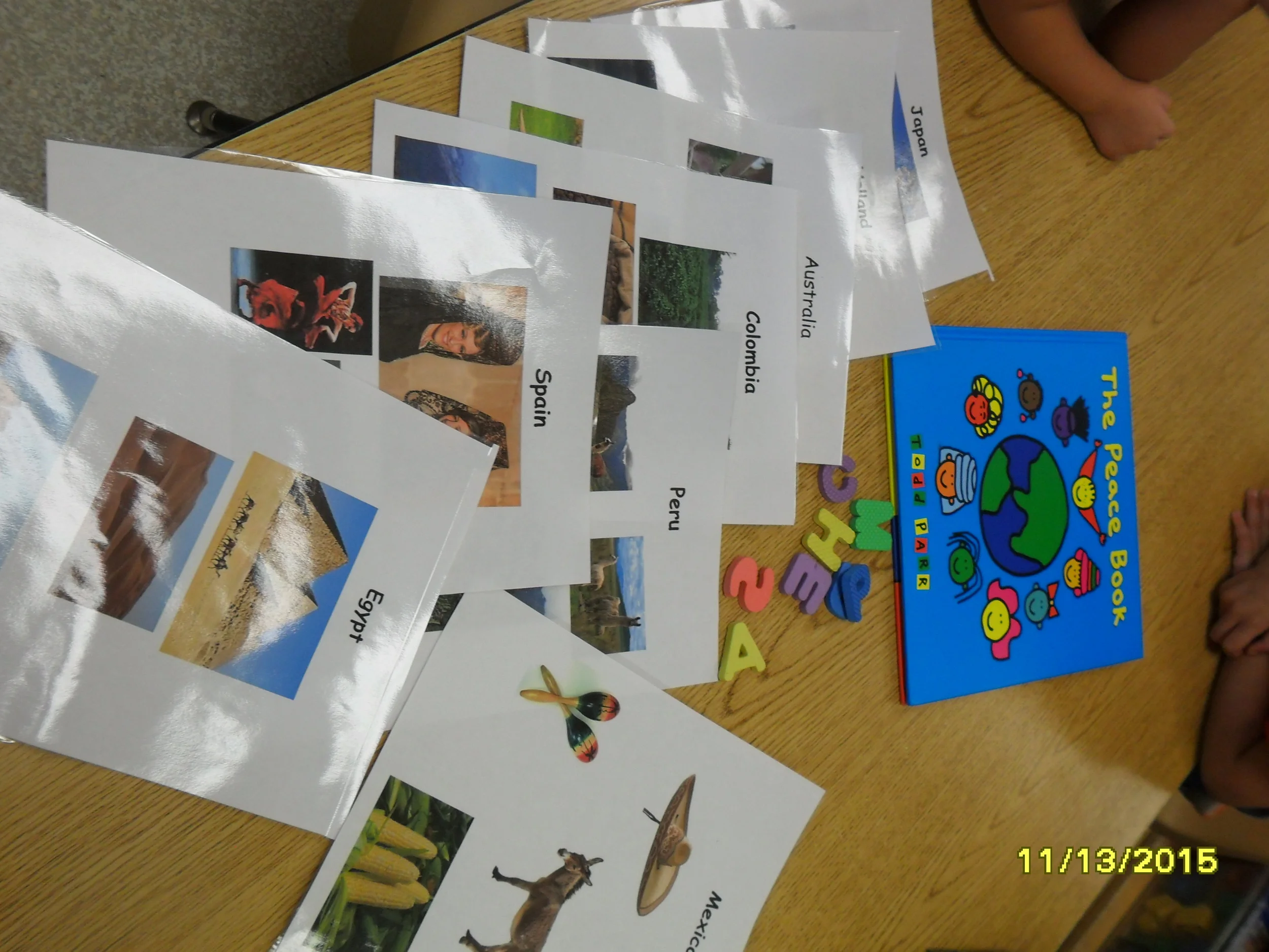 Animal Kingdom Science Project