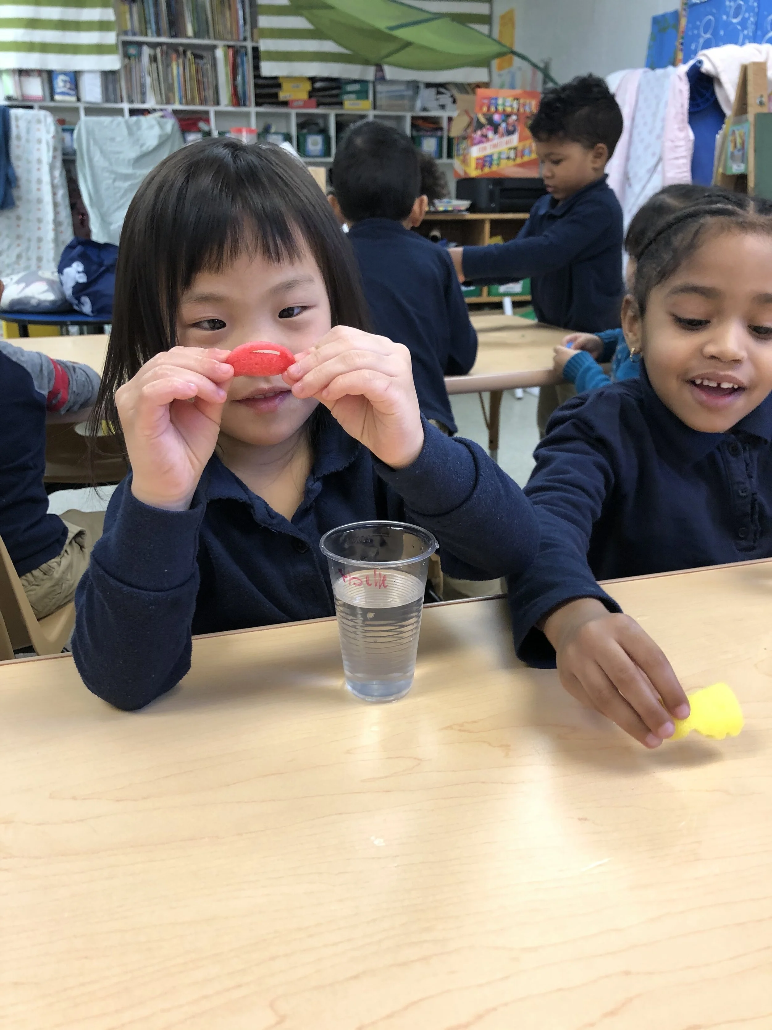 Best Preschool In New Jersey — Jefferson Park Preschool