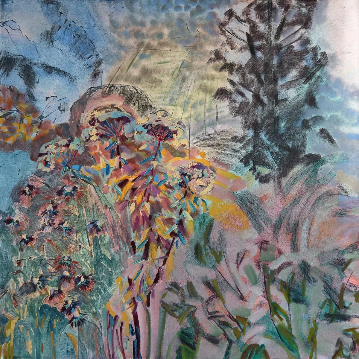 AMY WRIGHT | Abstract Landscape Paintings & Drawings