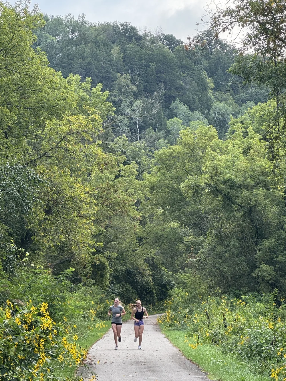 Home Page — AUSTIN PACKER CC