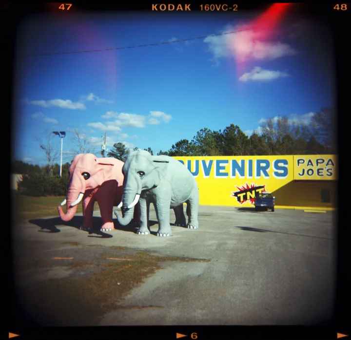 blog — Bryce Lankard Photographs