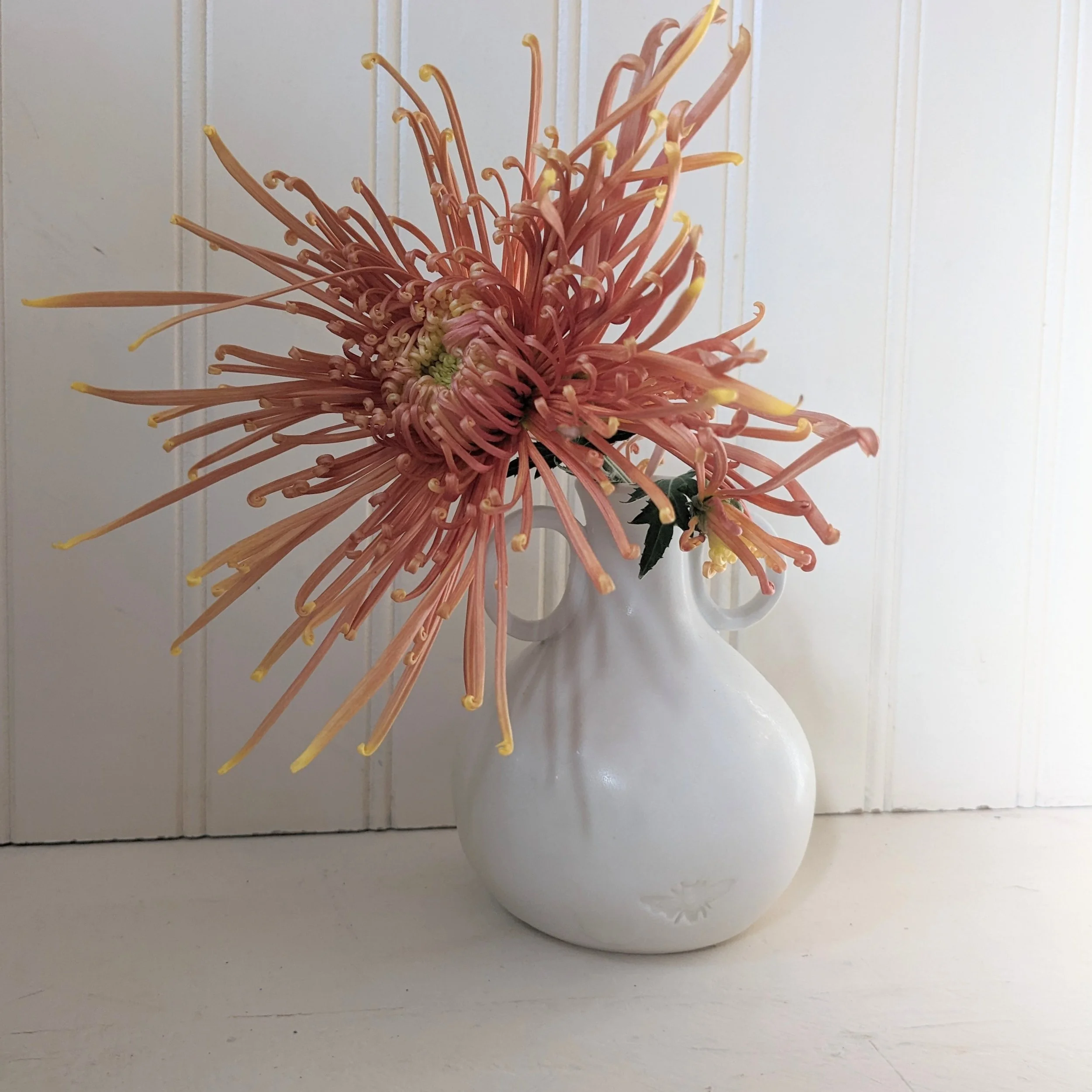 Shop — Bridgman Pottery