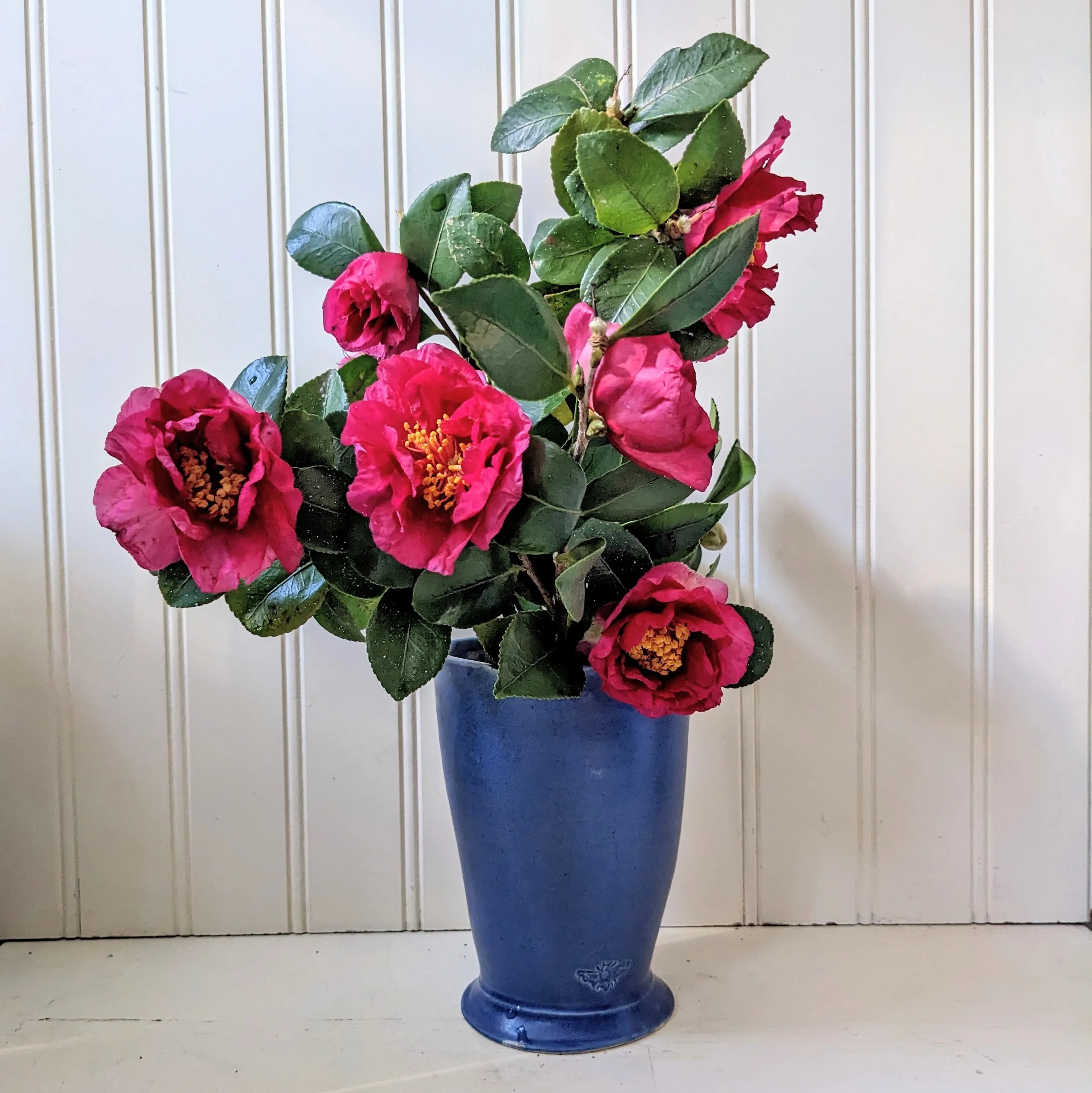 Shop — Bridgman Pottery