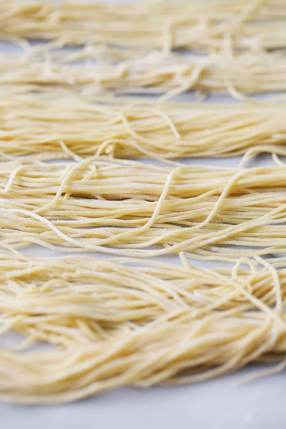 Homemade Capellini and Scallops with KitchenAid — Kristi Murphy | DIY Blog