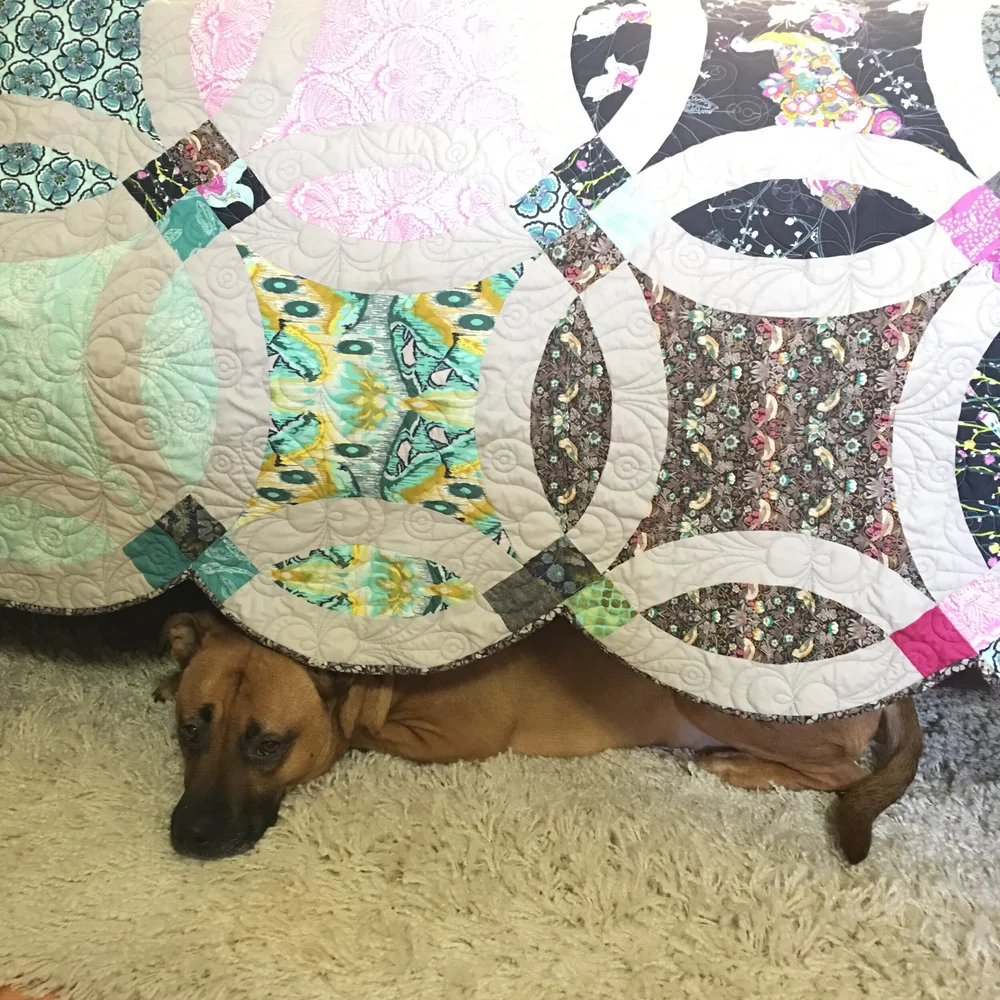 S2: BONUS Episode!! Stephanie with Vicki Holloway — Stephanie Socha Design