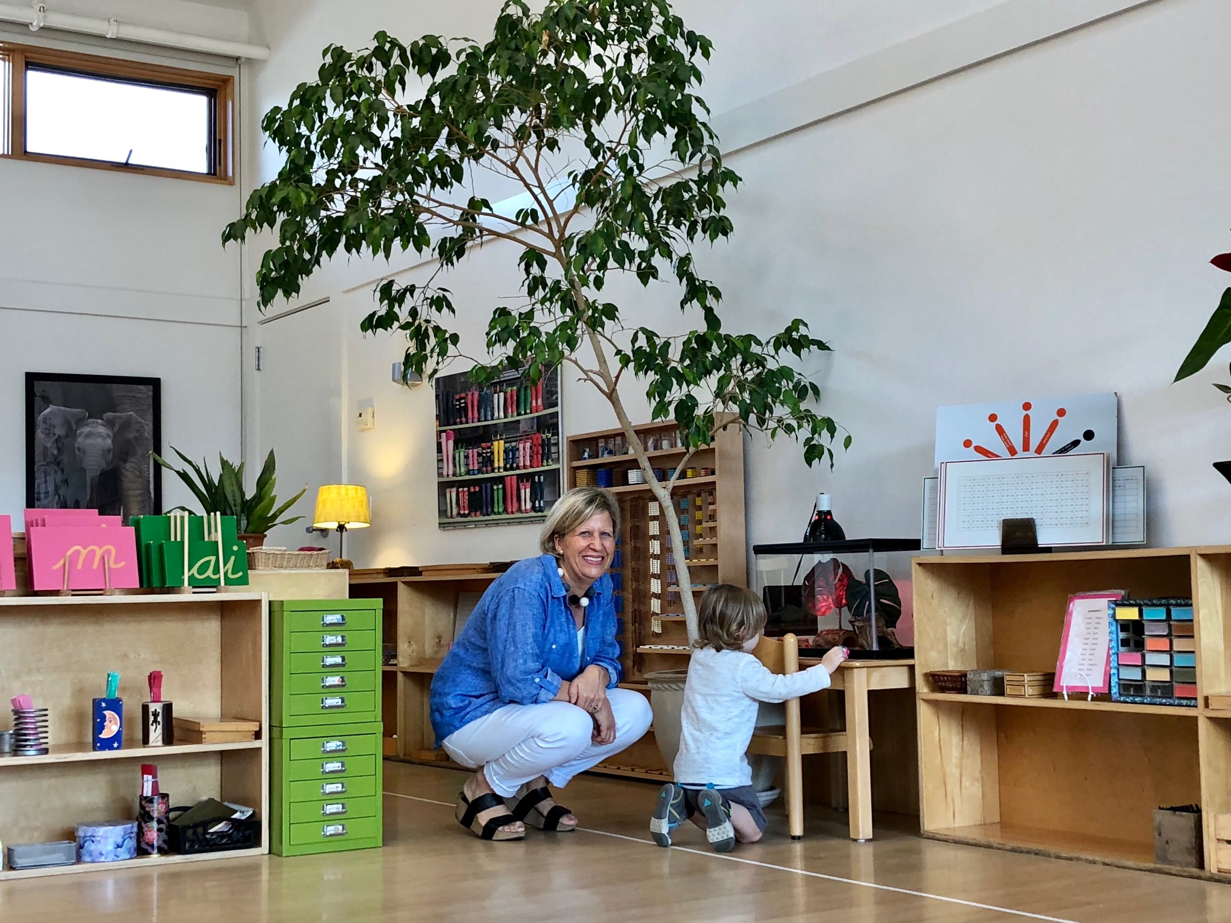 Montessori Homeschooling — A Montessori Story