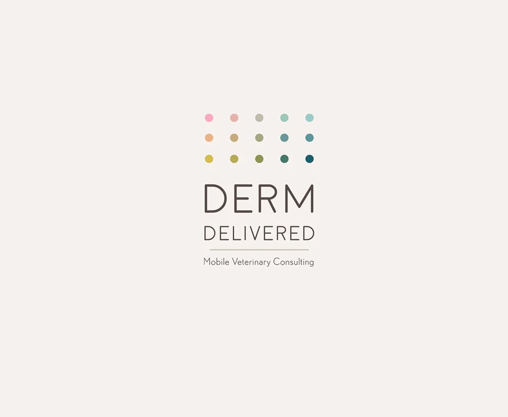Derm Delivered Vet Consulting: Branding Case Study — 38th & Kip Studio