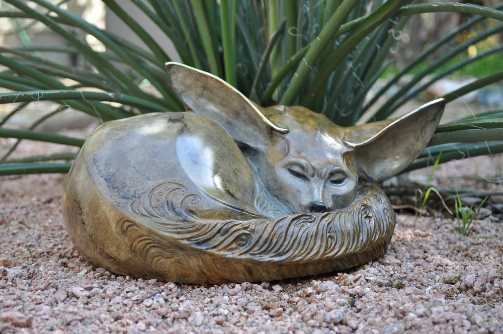 Fennec Hare