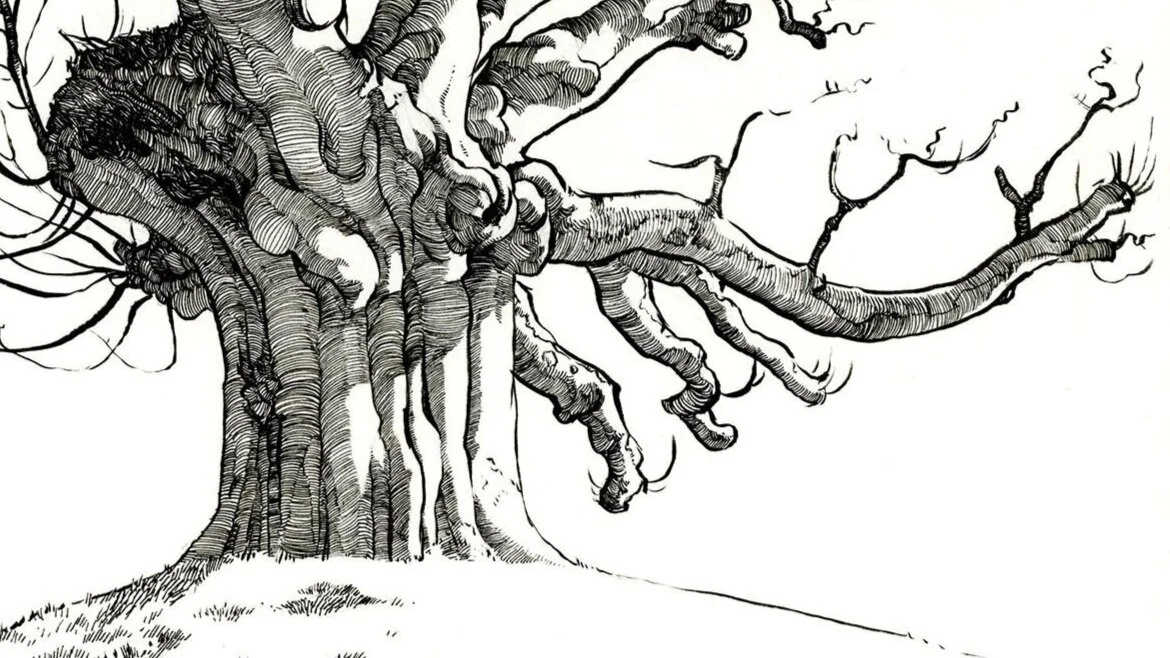 Emily Altman, Illustrator and Comics Artist