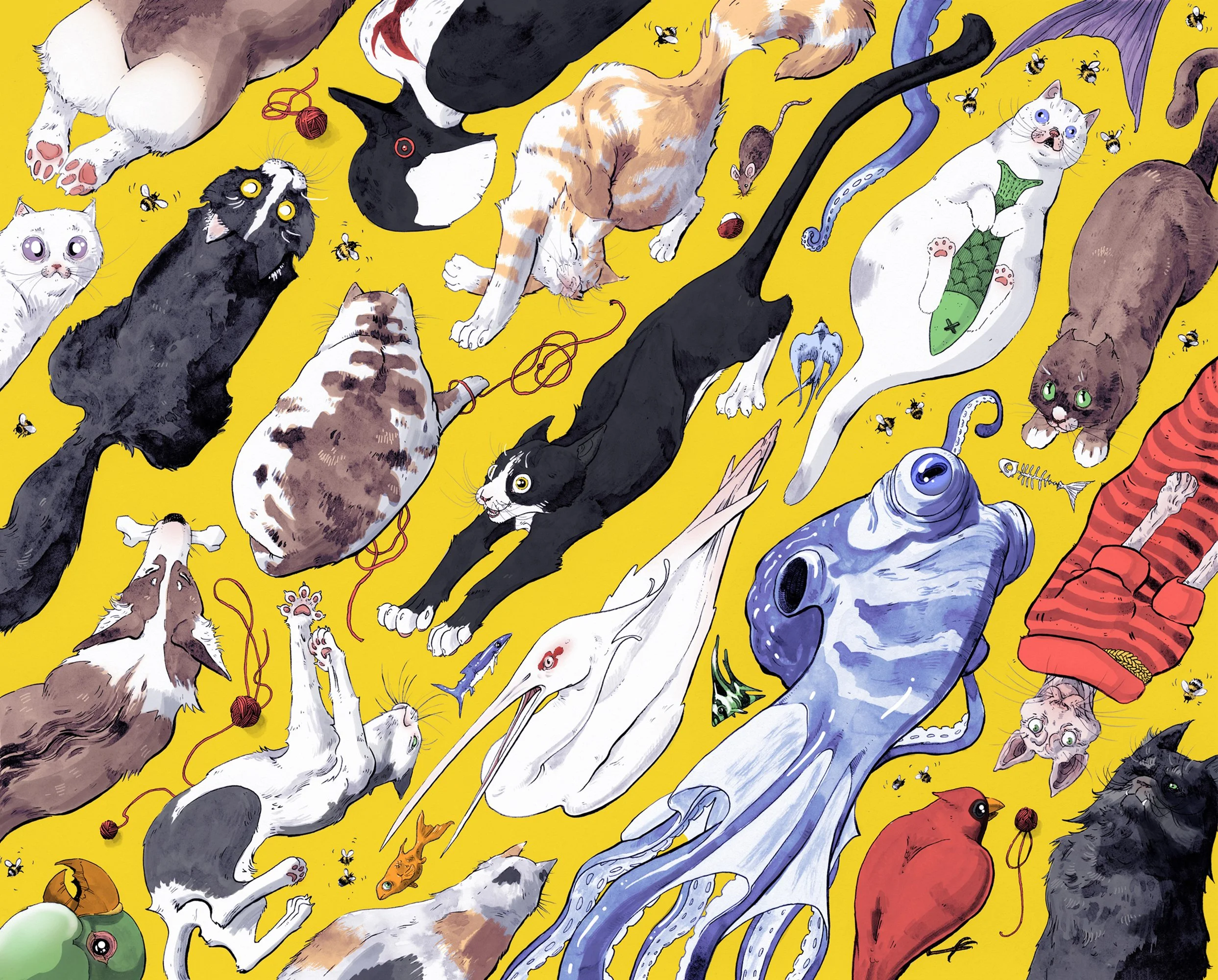 Emily Altman, Illustrator and Comics Artist