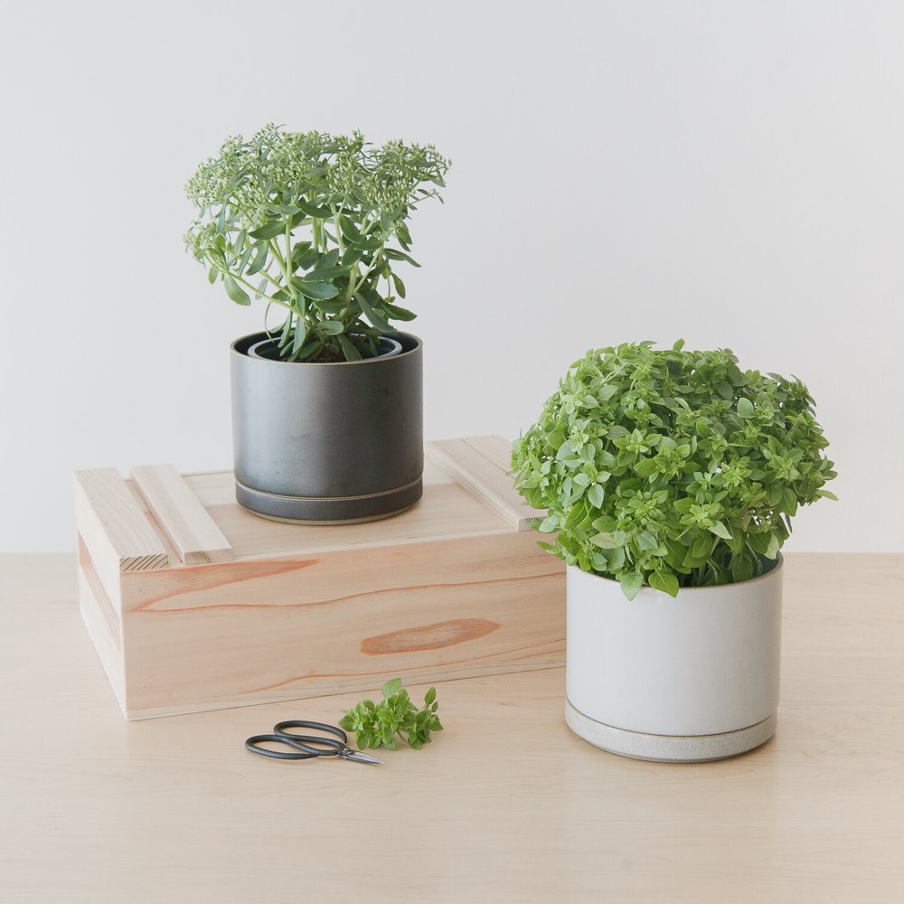 Hasami Porcelain - Japanese Hasami Planter - Native & Co | Japanese ...